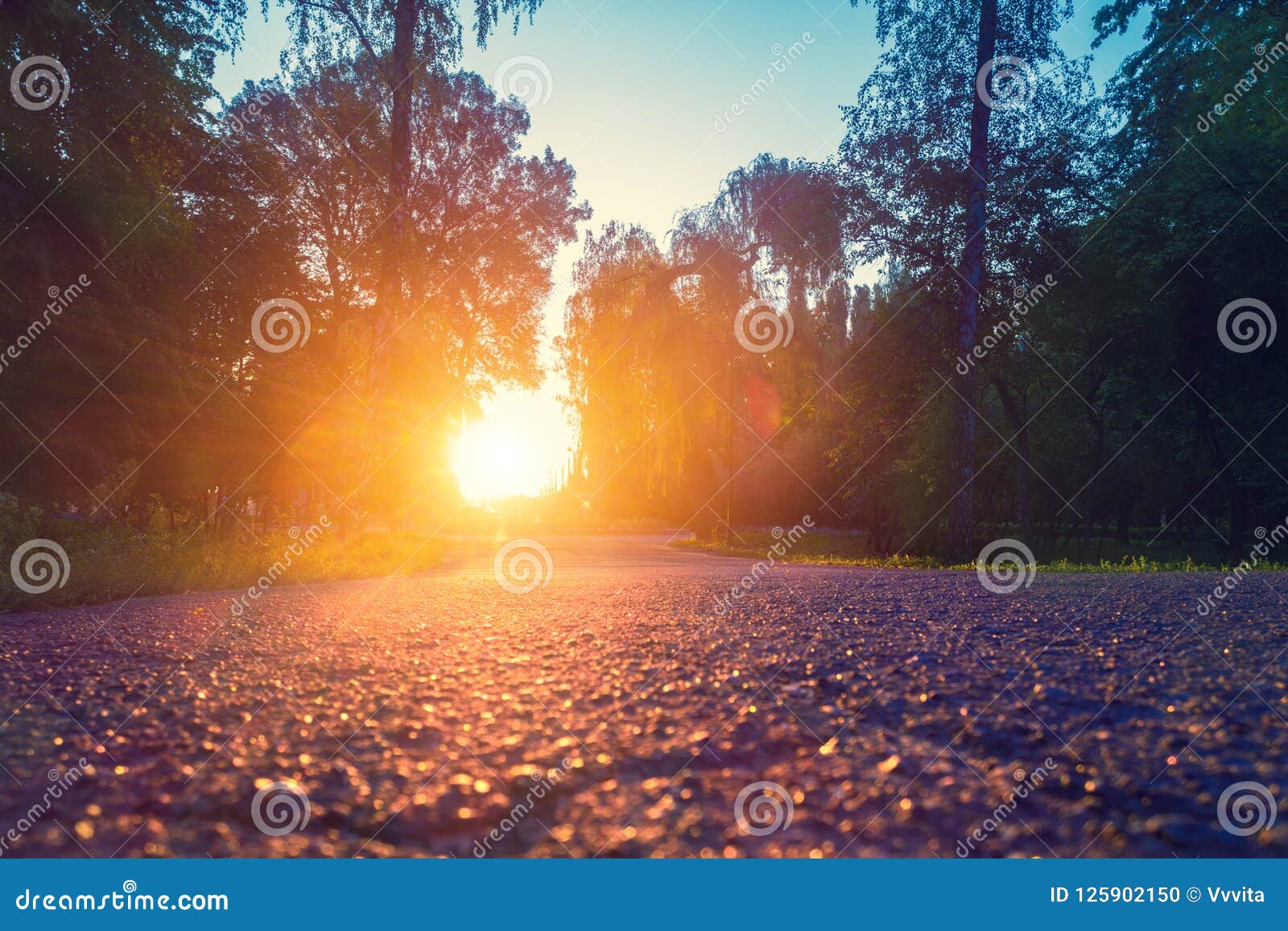 Chemin D'asphalte En Parc Au Coucher Du Soleil Photo stock - Image du ...