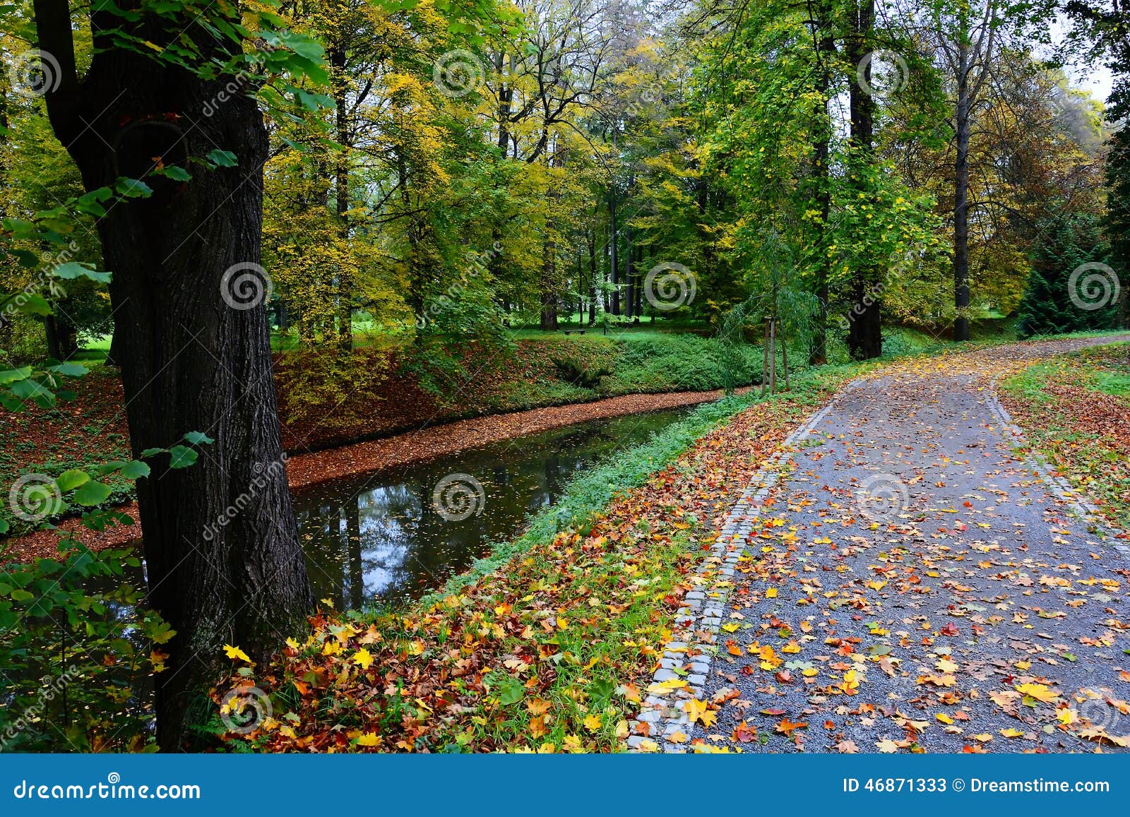 Chemin D'automne Le Long De the Creek Image stock - Image du along ...