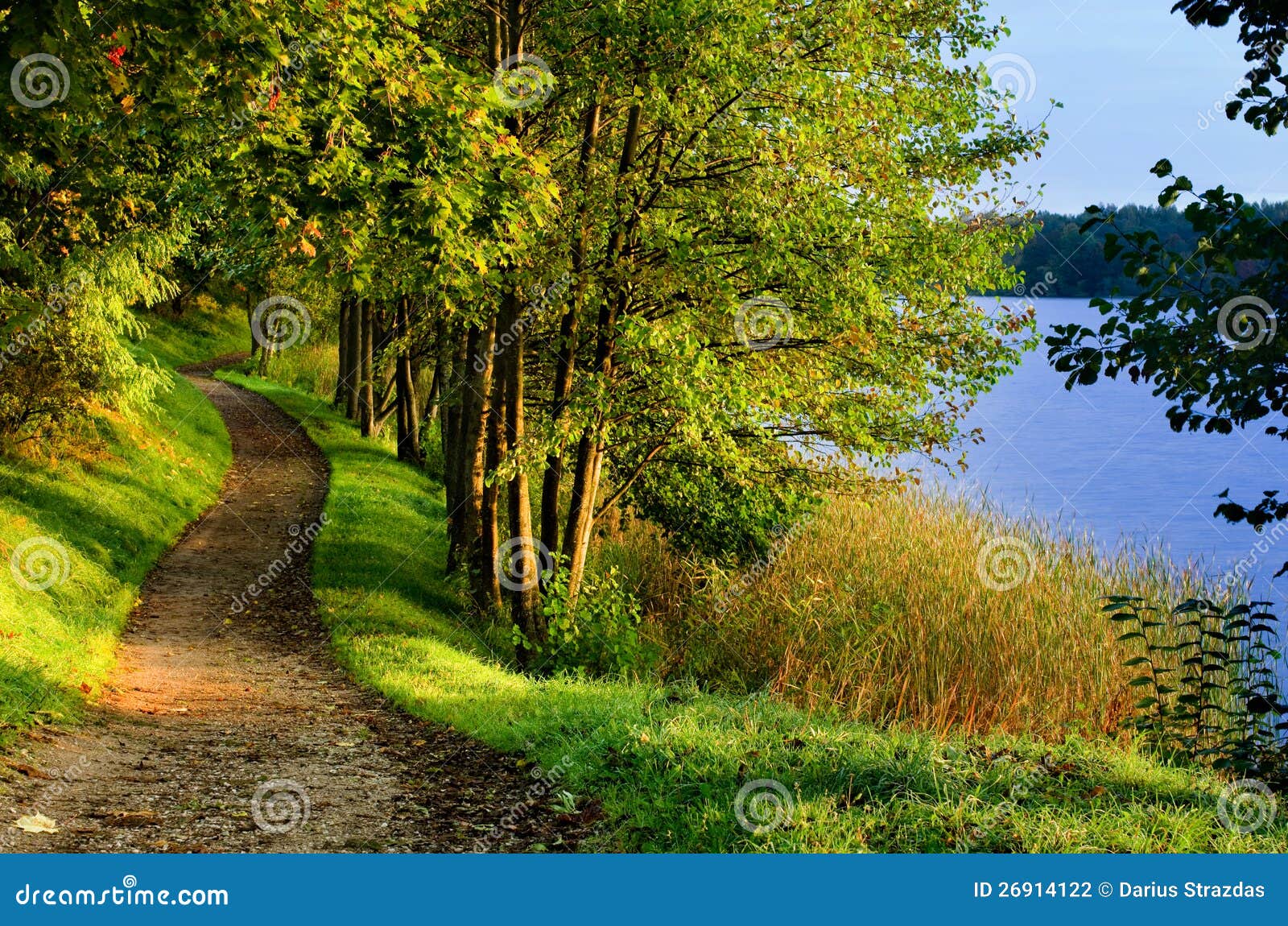 Chemin D'automne Par Le Lac Photo stock - Image du lumière, coloré ...