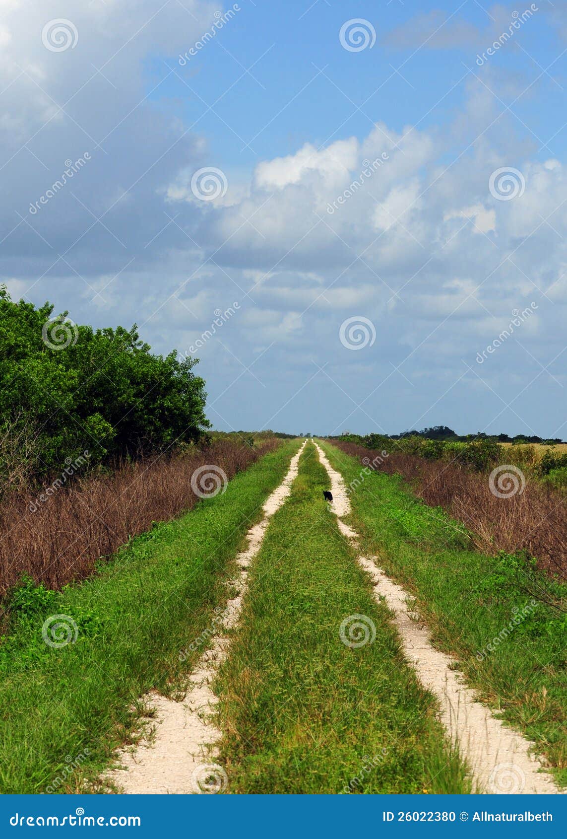Chemin Dans La Campagne Avec Personne Photo stock - Image du ciel ...