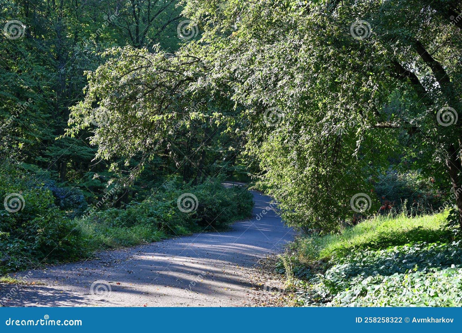 Chemin dans le parc photo stock. Image du promenade - 258258322