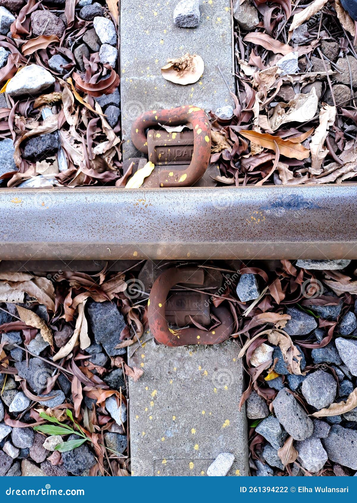 Chemin De Fer Ou Chemin De Fer Pour Le Transport Du Train Photo stock ...