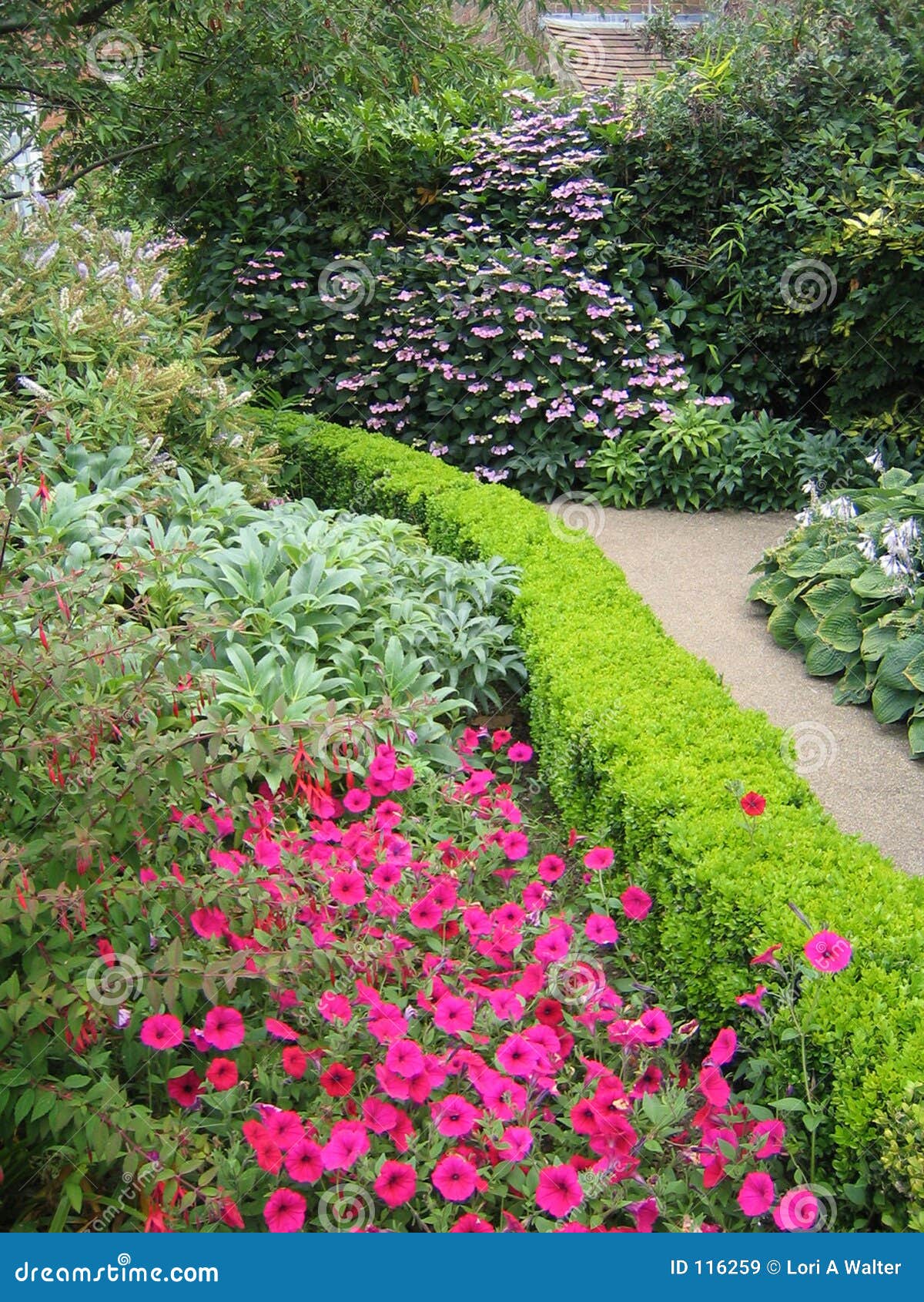 Chemin de marche anglais image stock. Image du promenade - 116259