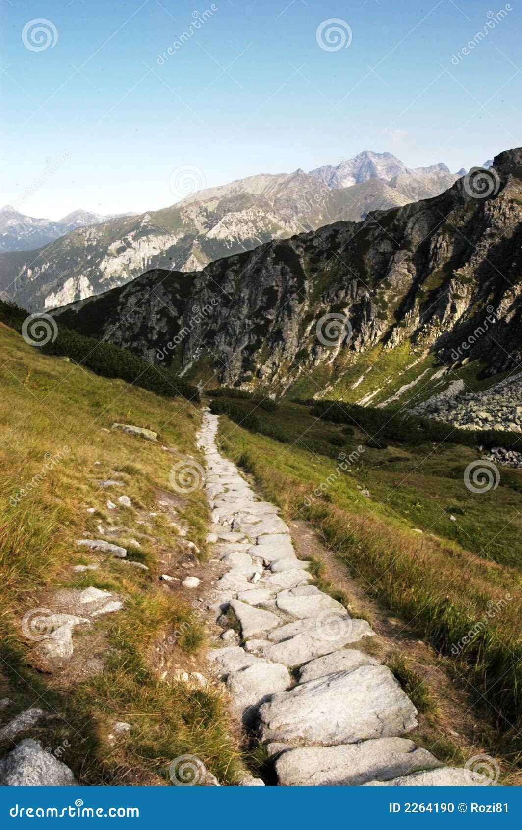 Chemin de montagne photo stock. Image du tractions, horizontal - 2264190