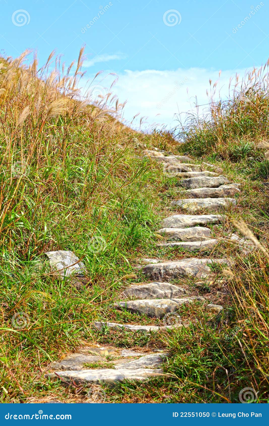 Chemin De Montagne Pour La Hausse Photo stock - Image du dessus, pré ...