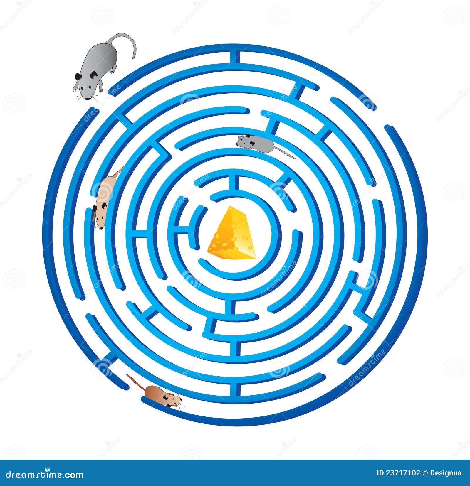 Chemin de rat. labyrinthe illustration de vecteur. Illustration du ...