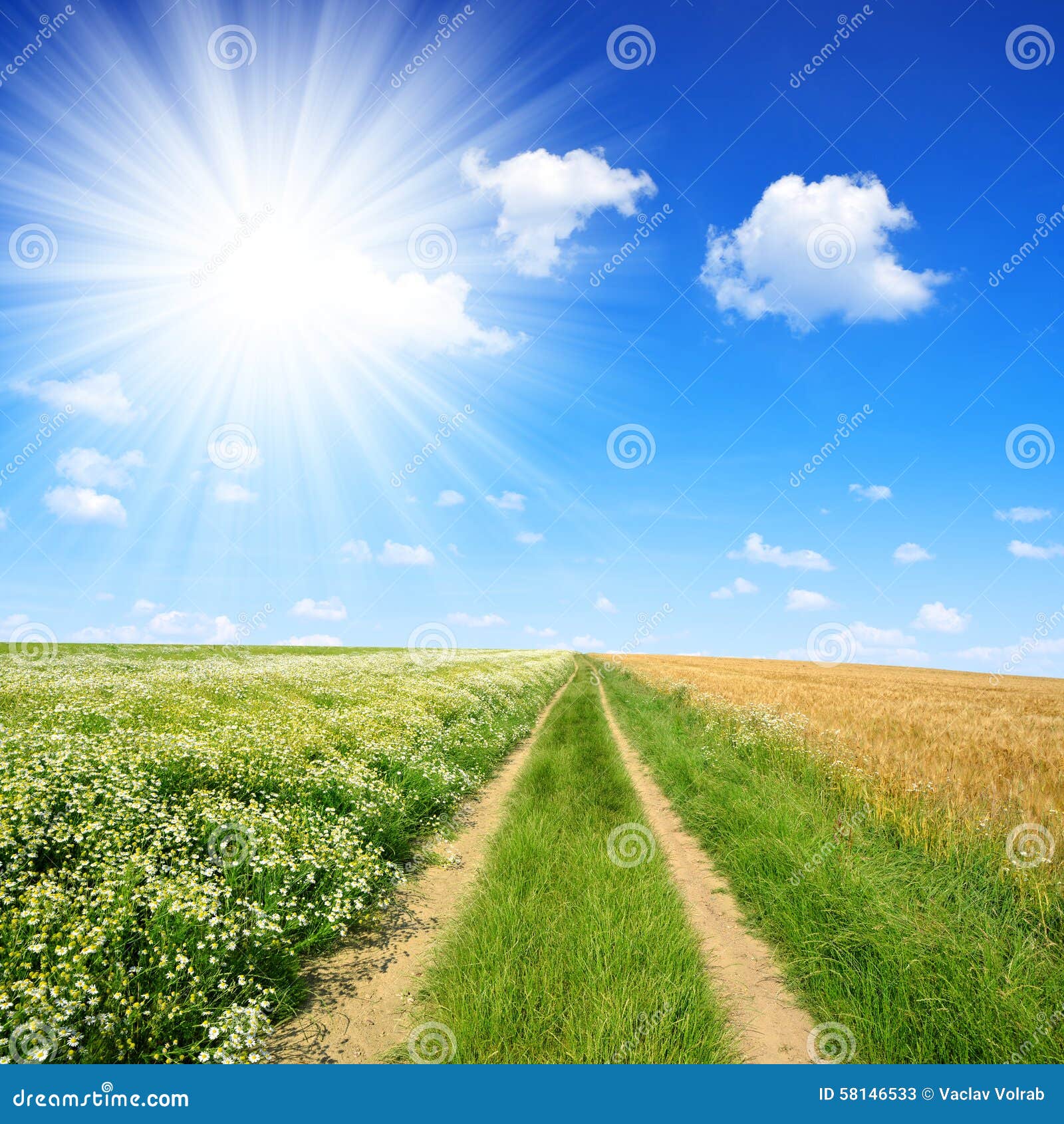 Chemin De Terre Dans Le Jour Ensoleillé Image stock - Image du paysage ...