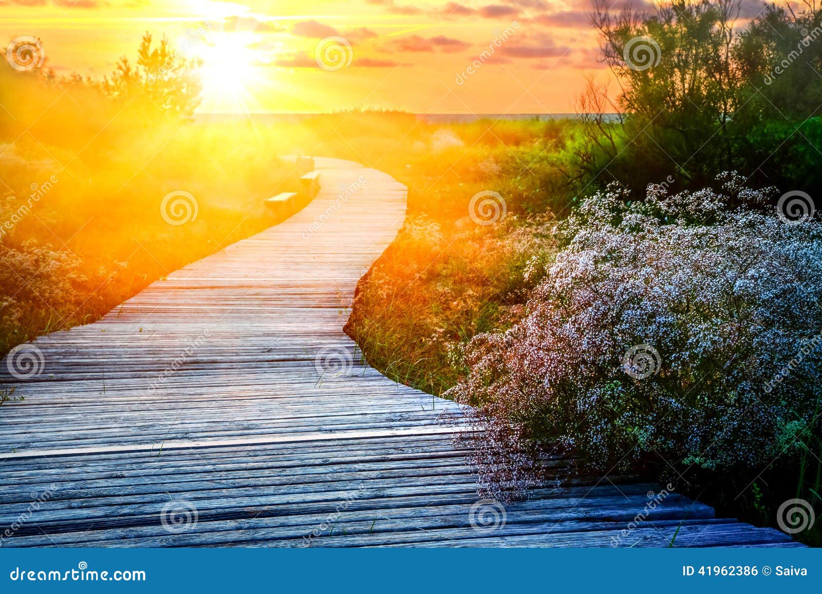 Chemin En Bois Au Coucher Du Soleil Photo stock - Image: 41962386
