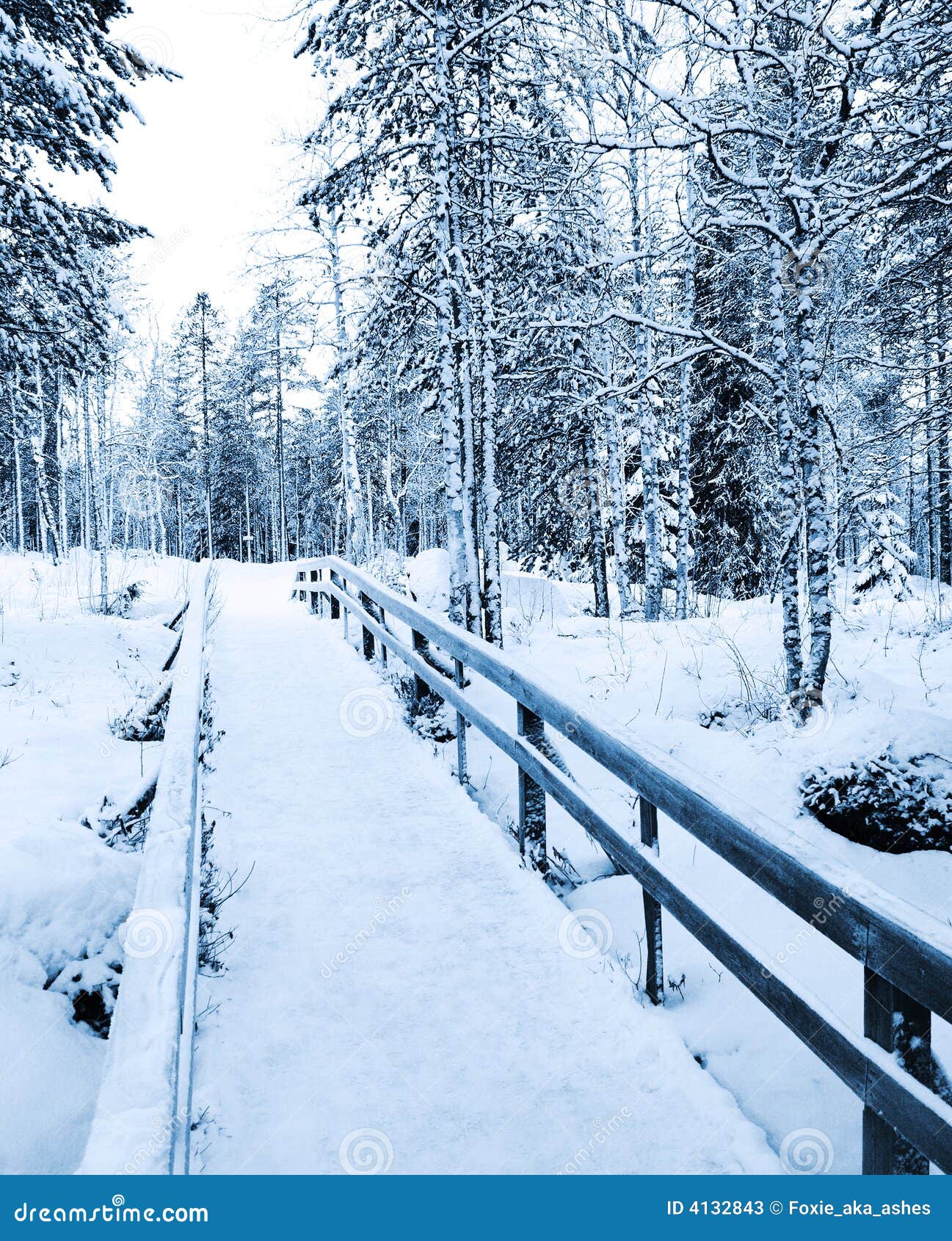 Chemin en hiver image stock. Image du passerelle, sentier - 4132843