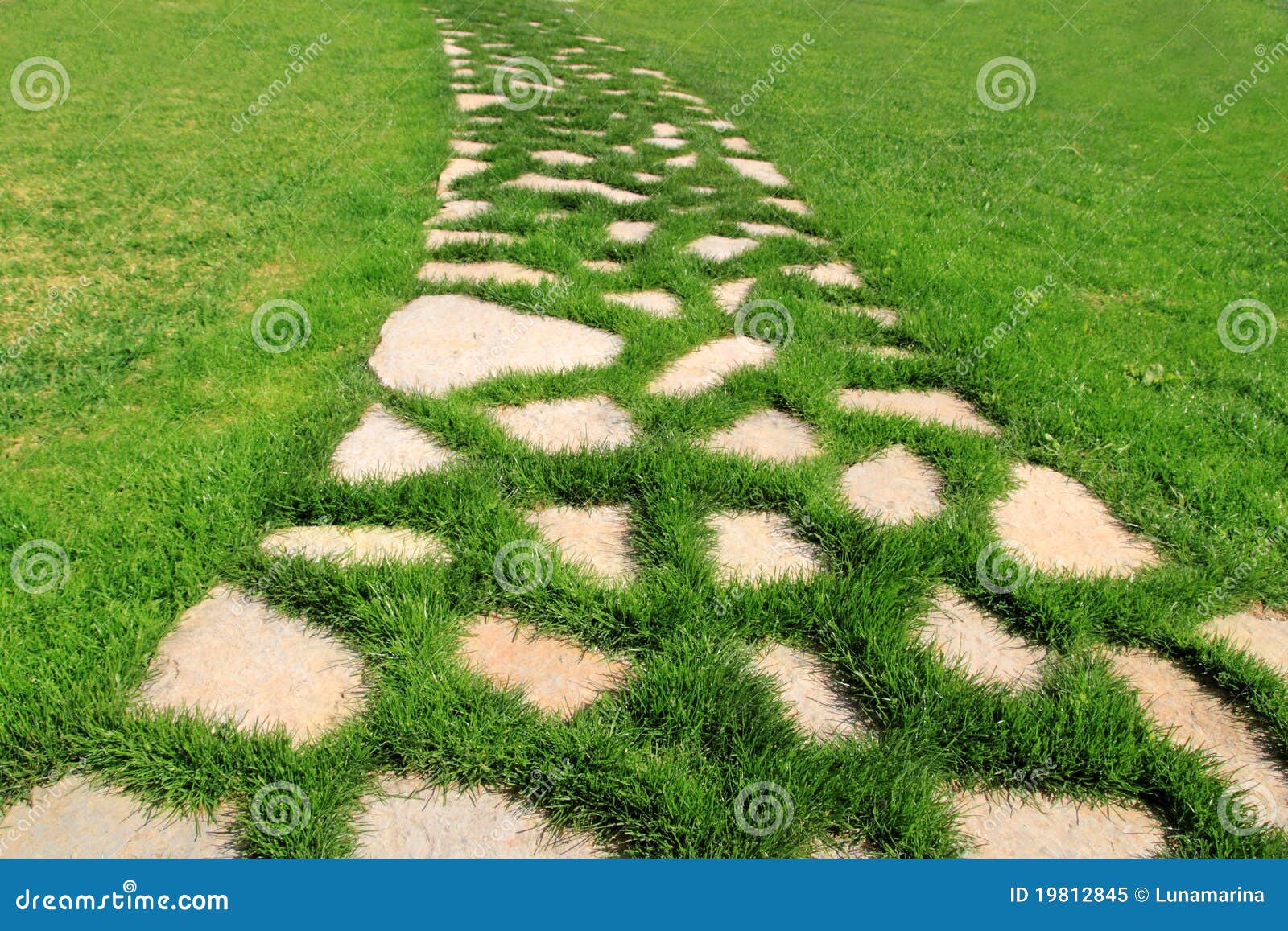 Chemin En Pierre Dans La Texture De Jardin D'herbe Verte Image stock ...