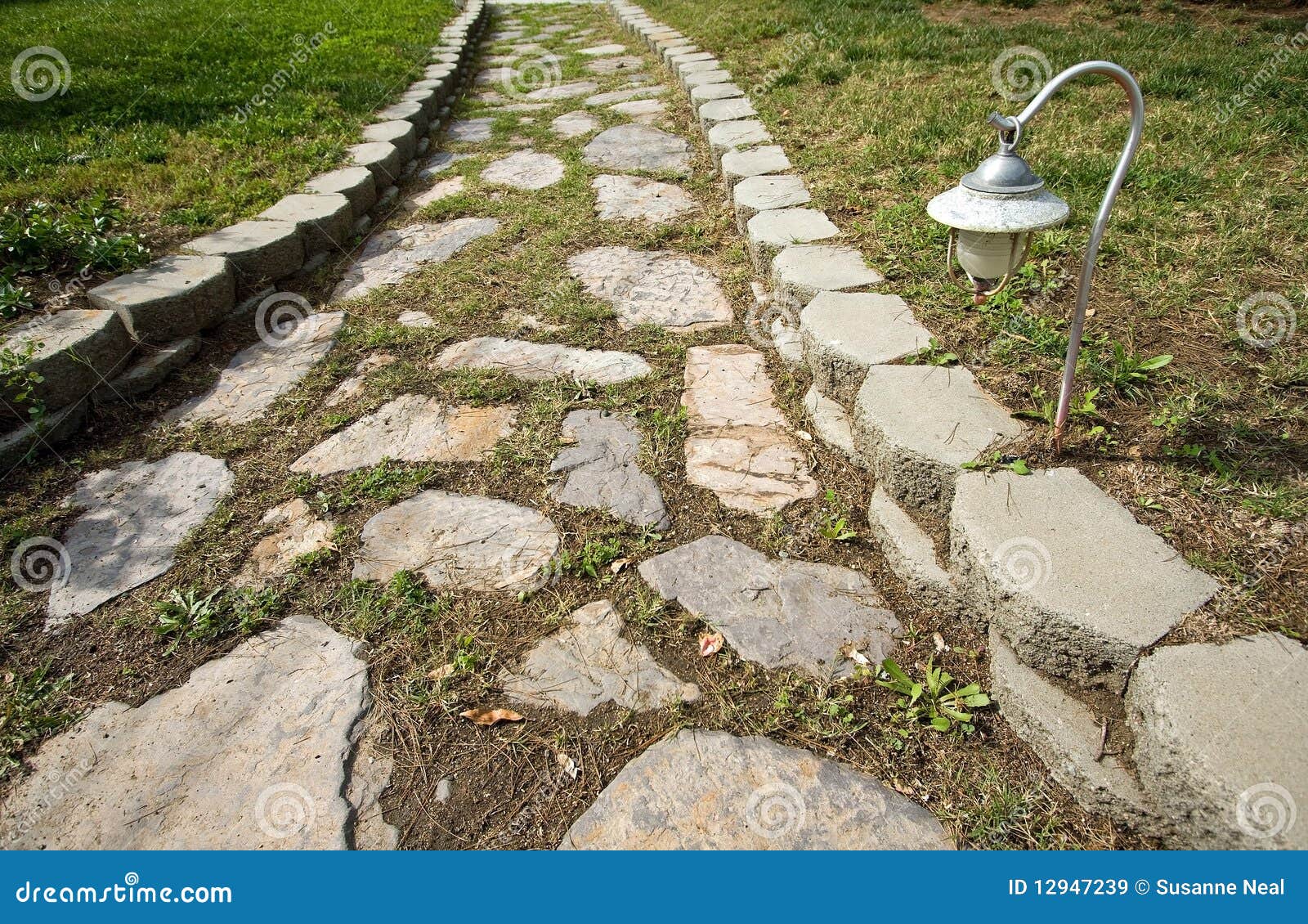 Pierre De Chemin De Jardin Allée De Pas Japonais