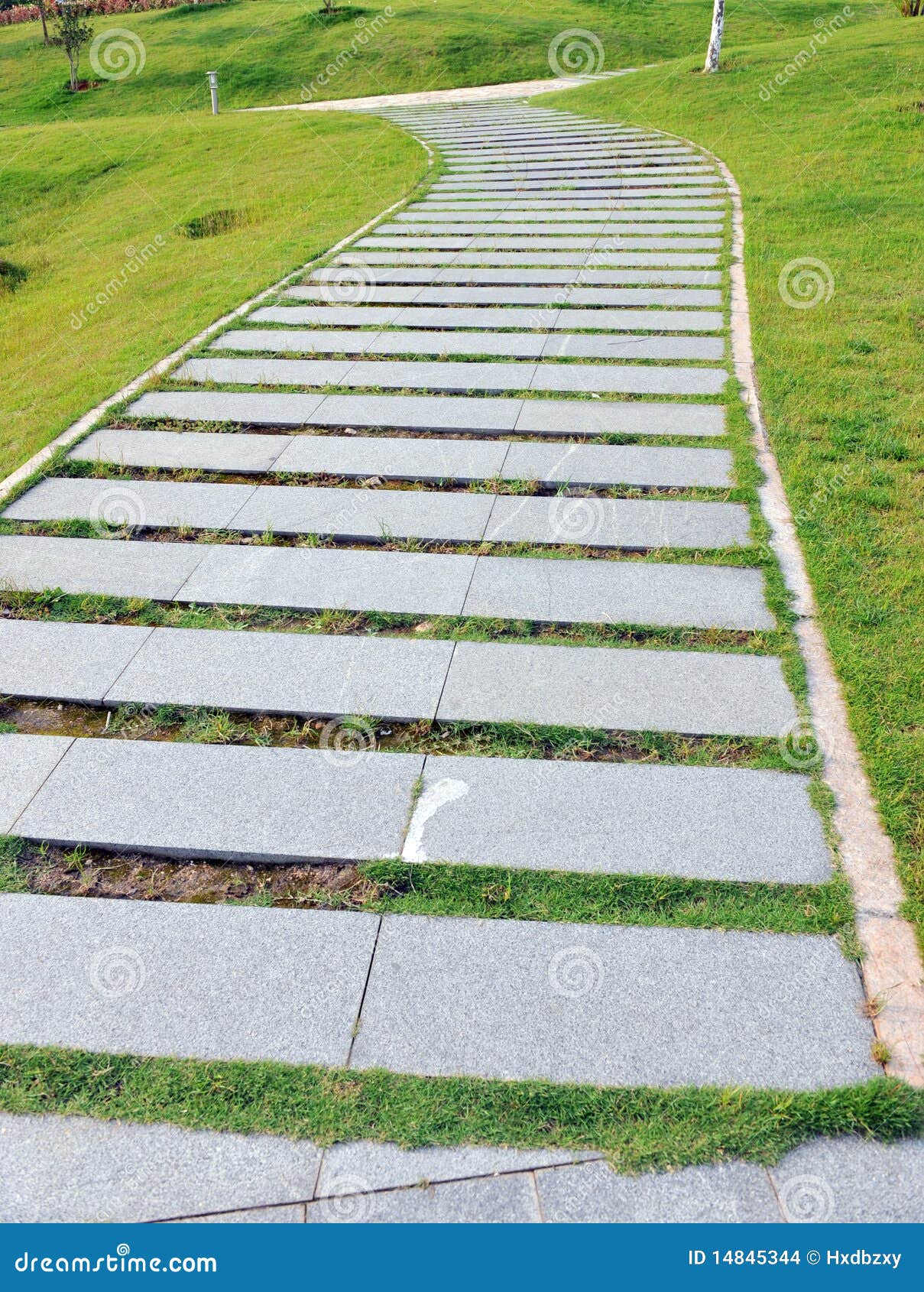 Chemin En Pierre De Courbe Dans Le Jardin Photo stock - Image du ...