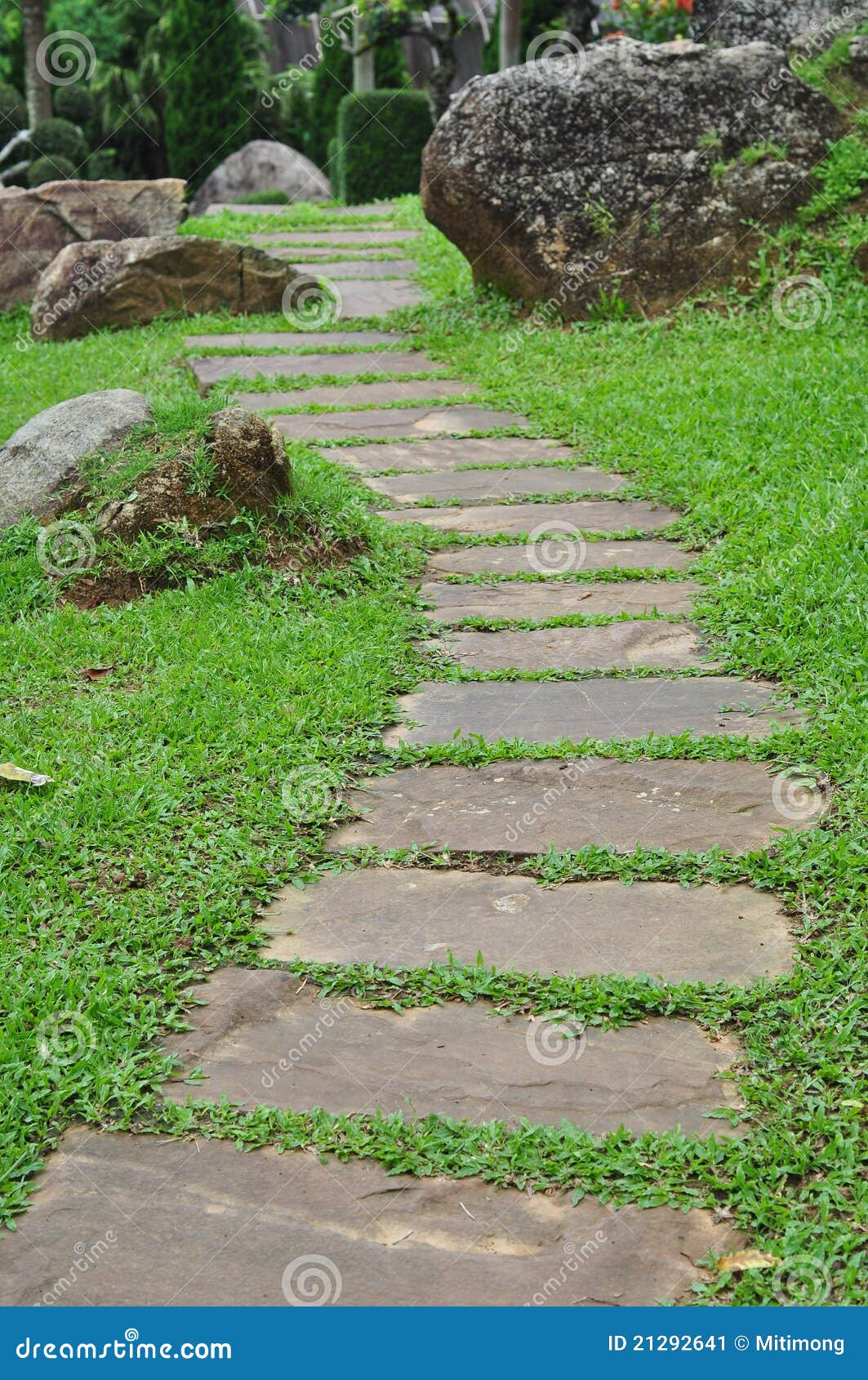 Chemin En Pierre De Jardin Image stock - Image: 21292641