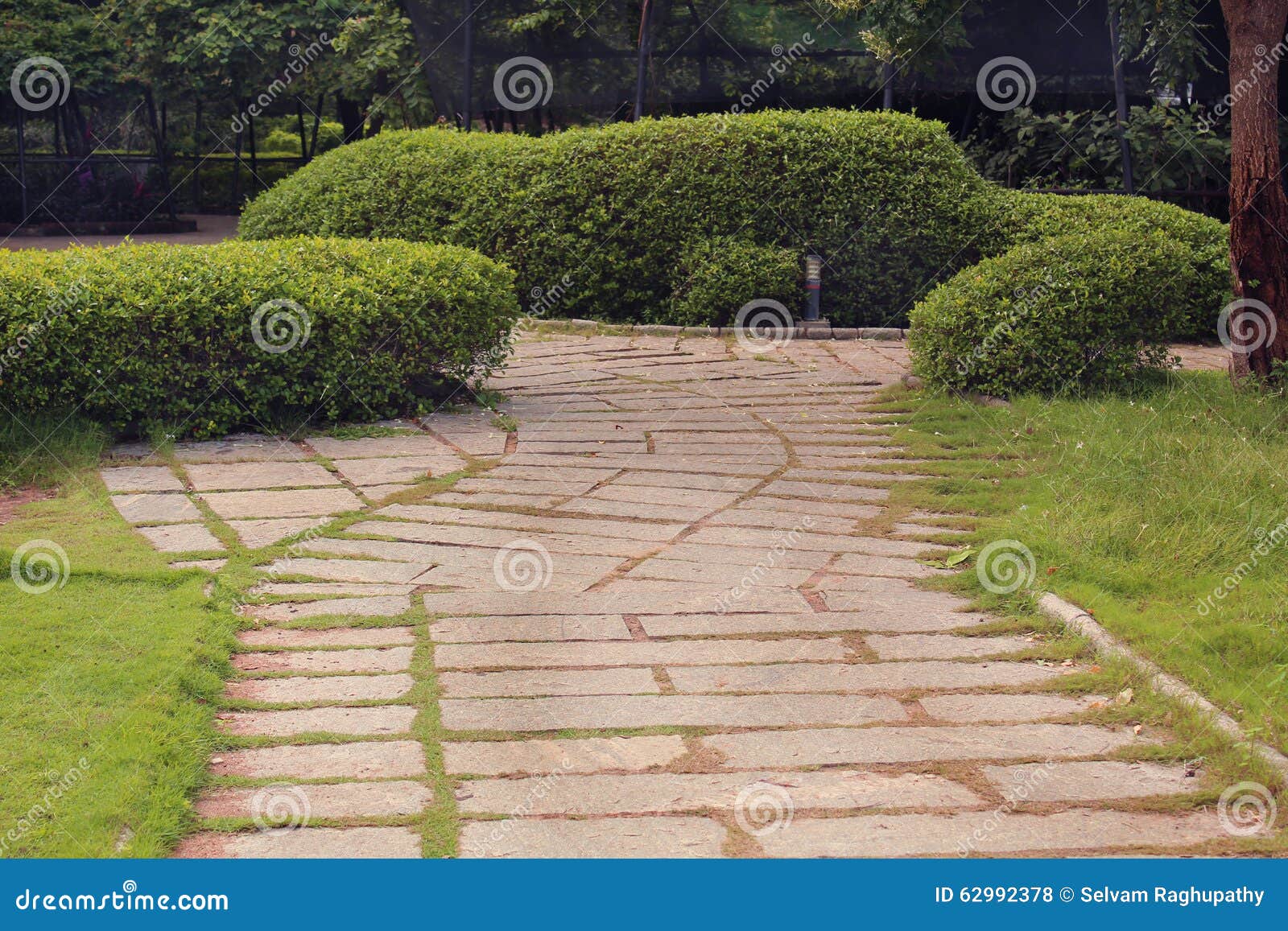Chemin en pierre de jardin photo stock. Image du paisible - 62992378