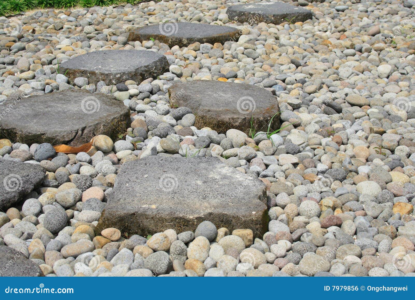 Chemin en pierre de jardin photo stock. Image du jardinage - 7979856
