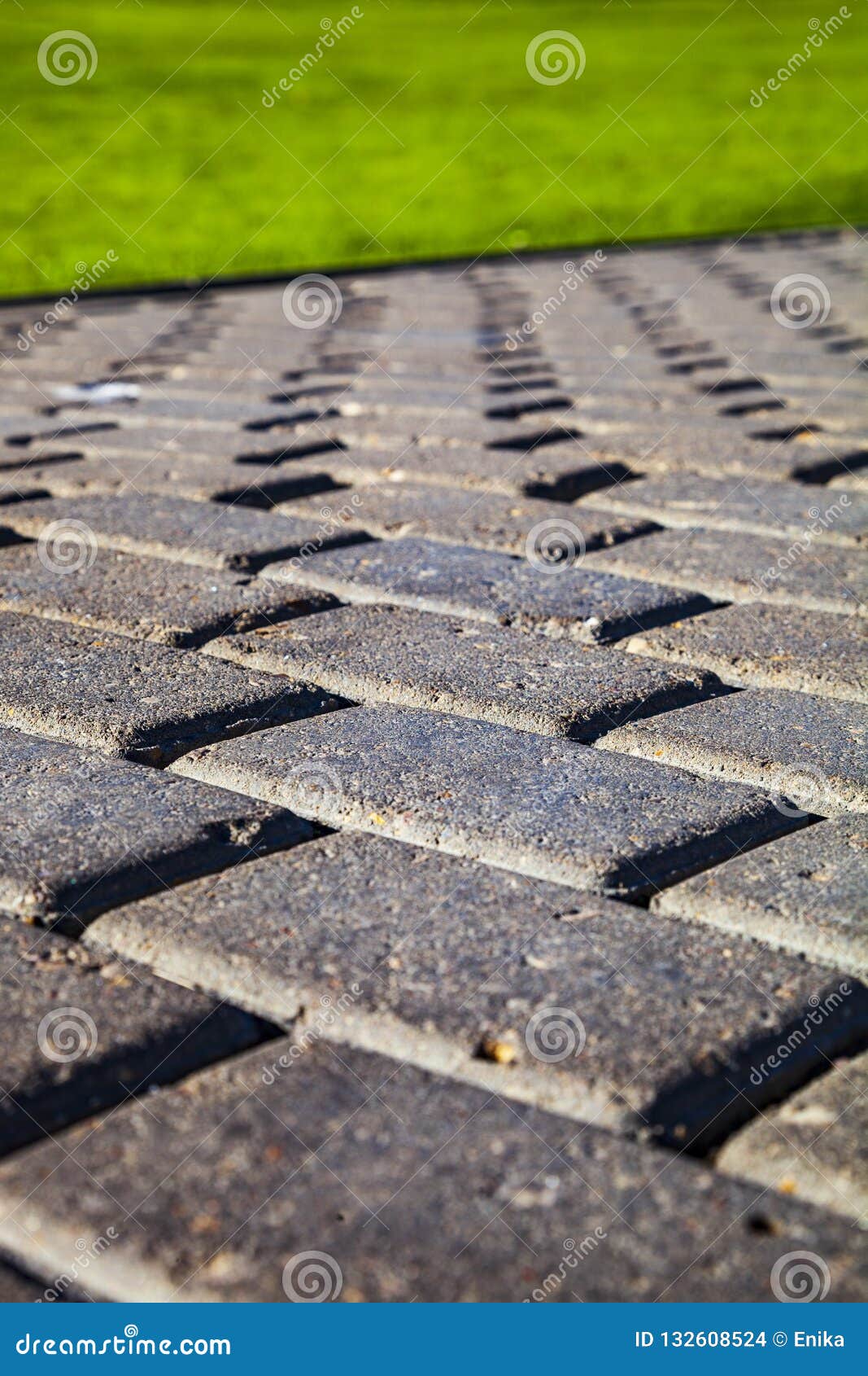 Chemin En Pierre En Parc Et Pelouse Verte Photo stock - Image du jardin ...
