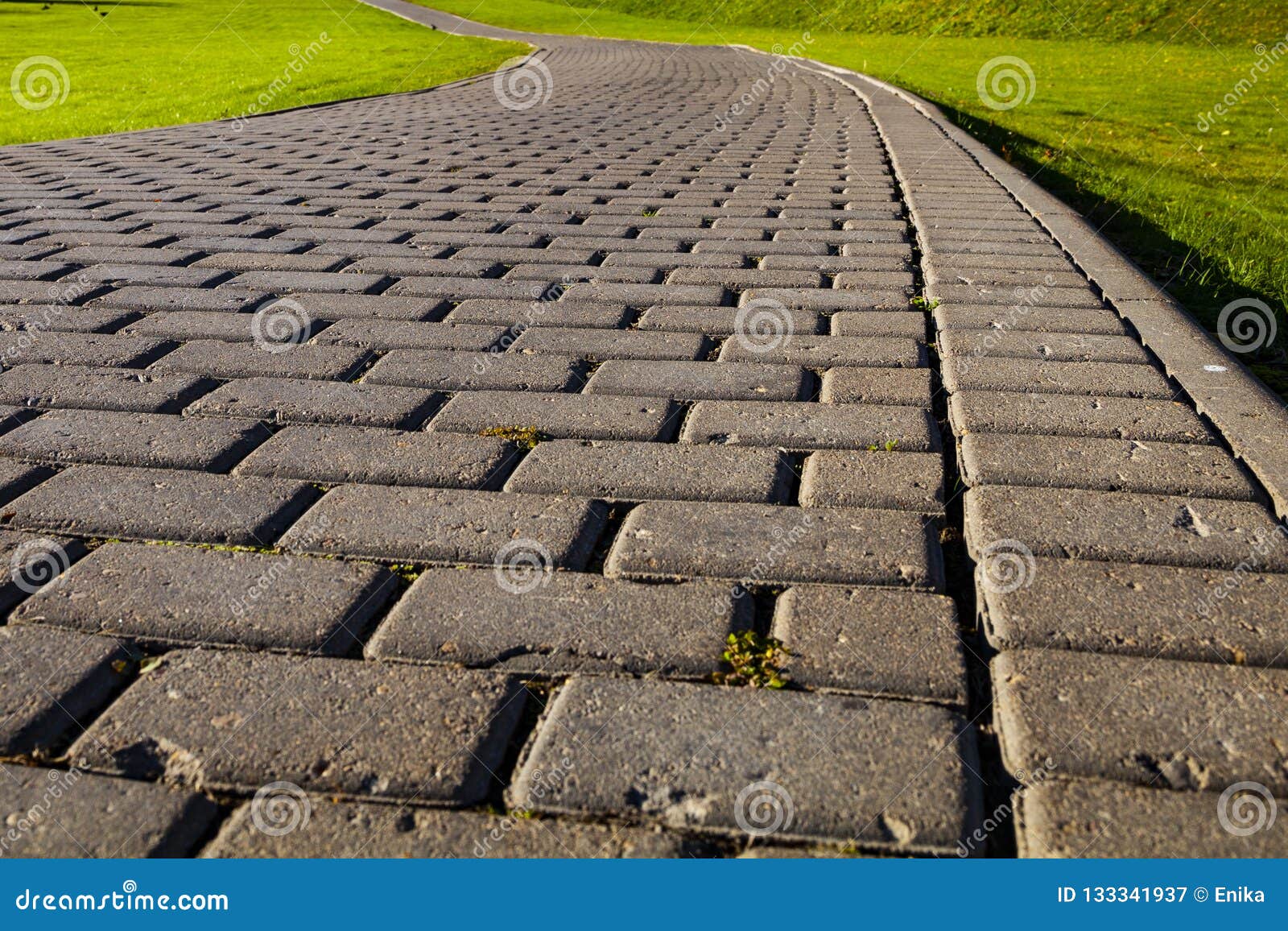 Chemin En Pierre En Parc Et Pelouse Verte Image stock - Image du sens ...