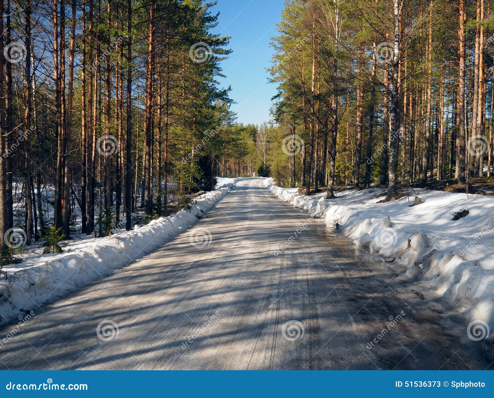 Chemin Forestier Au Printemps Image stock - Image du horizontal, europe ...