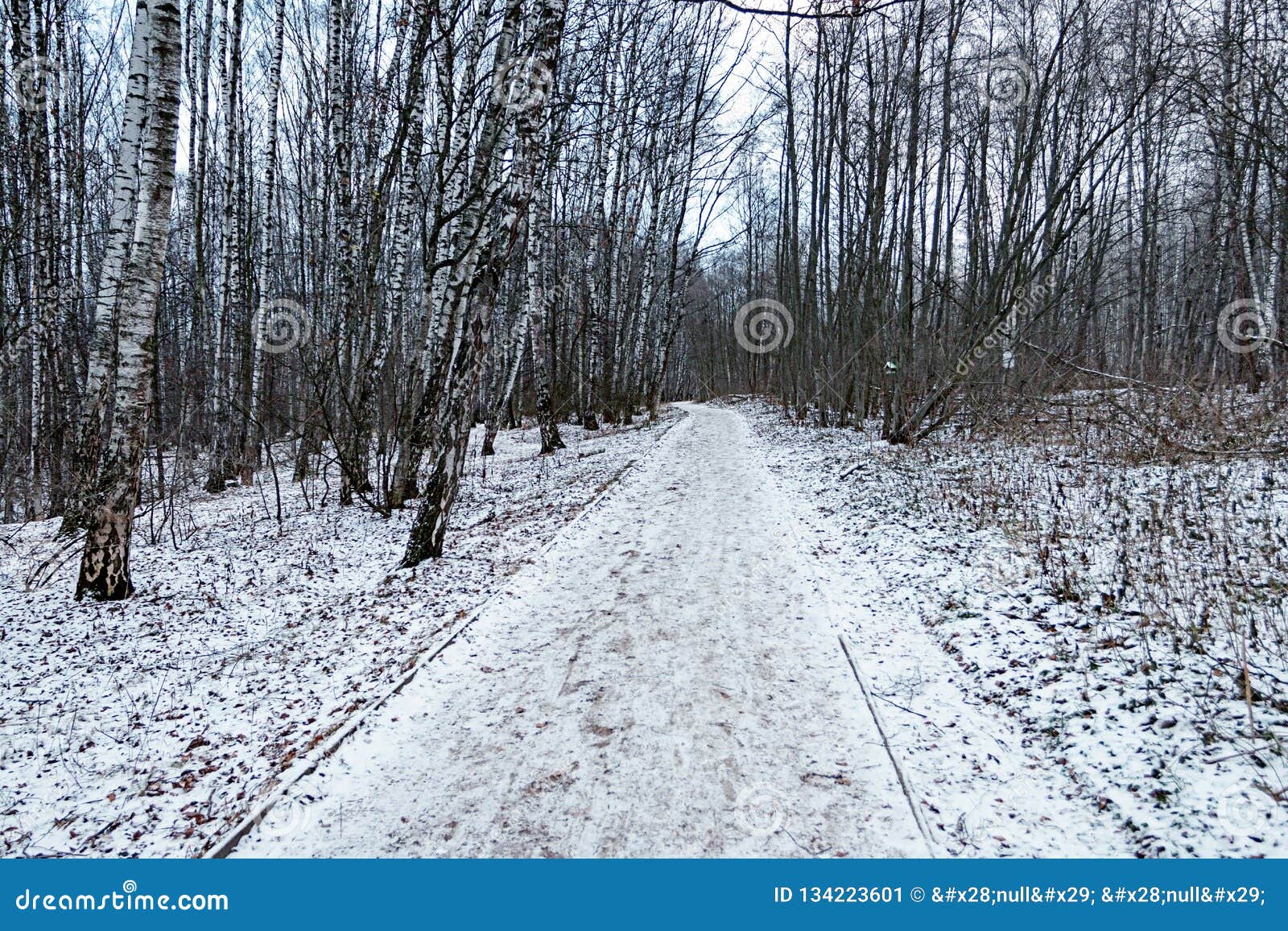Chemin Forestier Ou Chemin D'hiver Image stock - Image du arbres, beau ...
