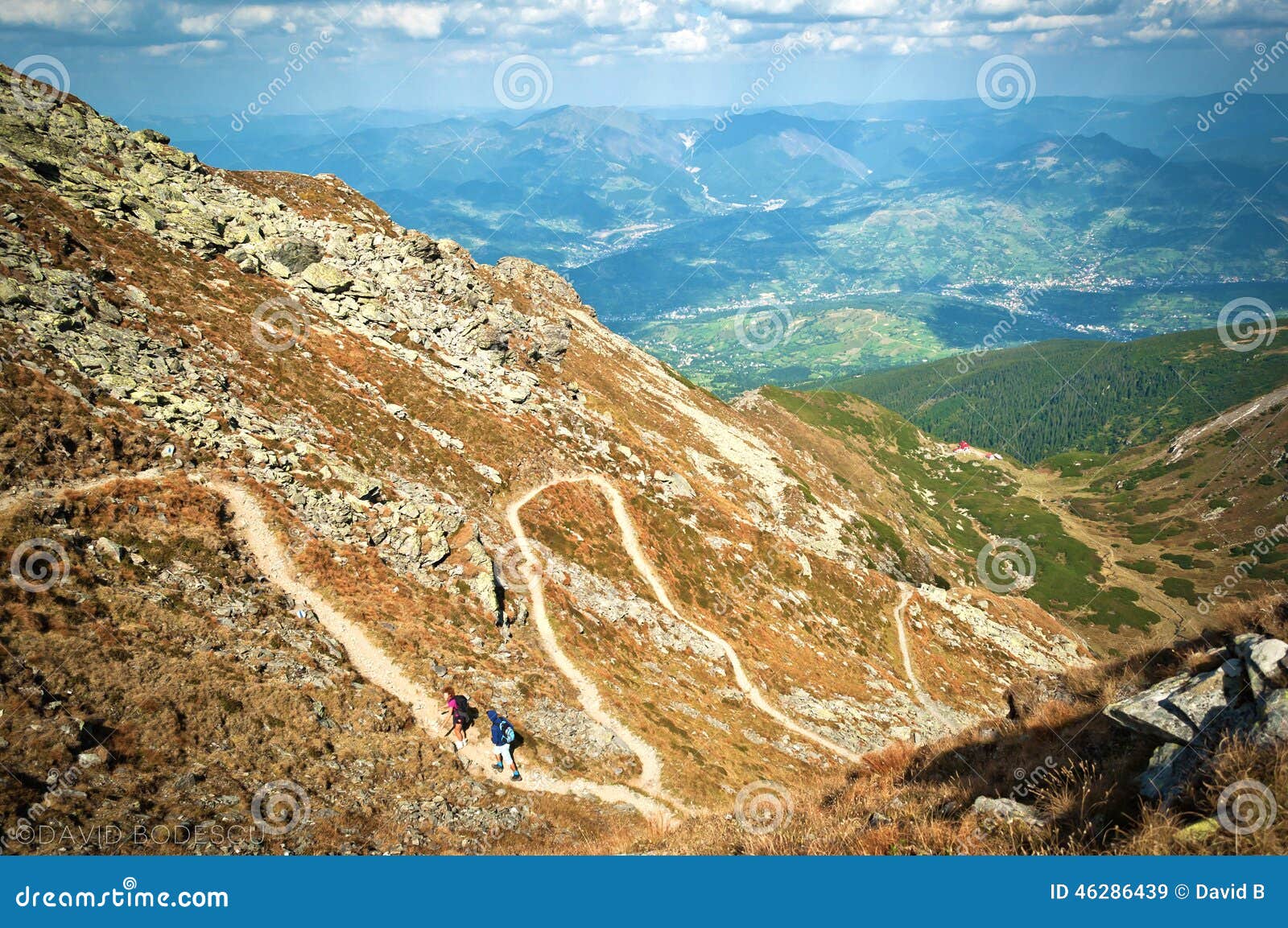 Chemin sinueux image stock éditorial. Image du élever - 46286439