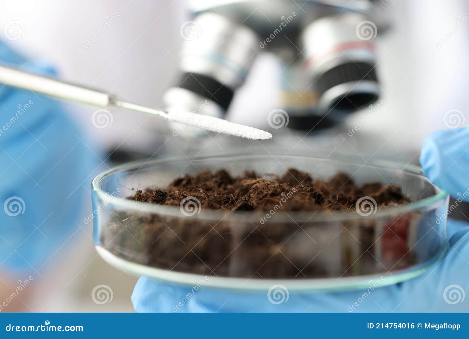 Chemist Adding White Powder To Soil in Laboratory Stock Photo - Image ...