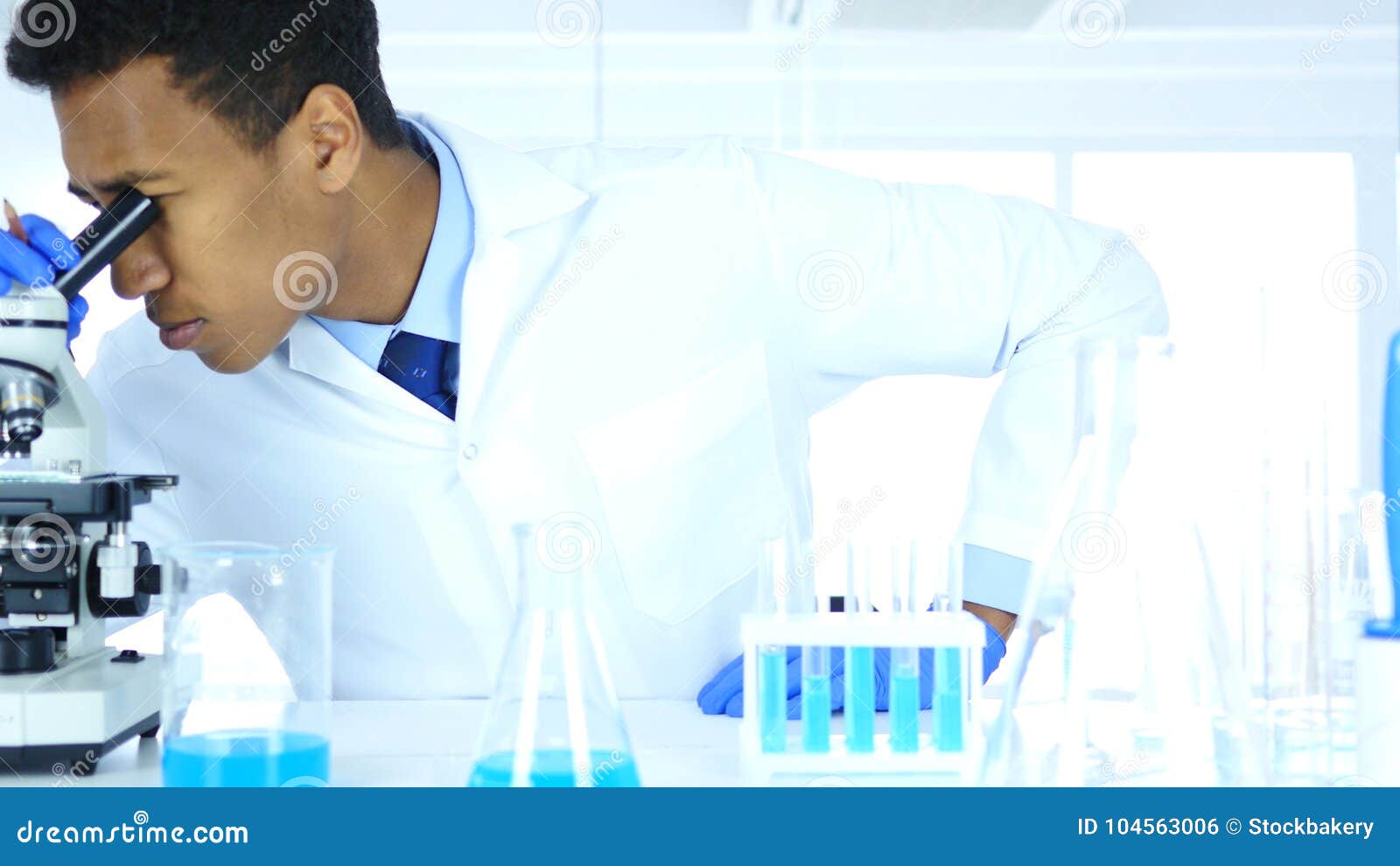 Chemist, Scientific Reseacher Working on Microscope in Laboratory Stock ...