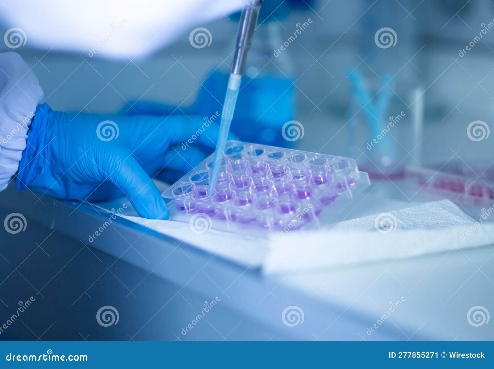 Chemist Wearing Protective Gloves Conducting a Scientific Experiment in ...