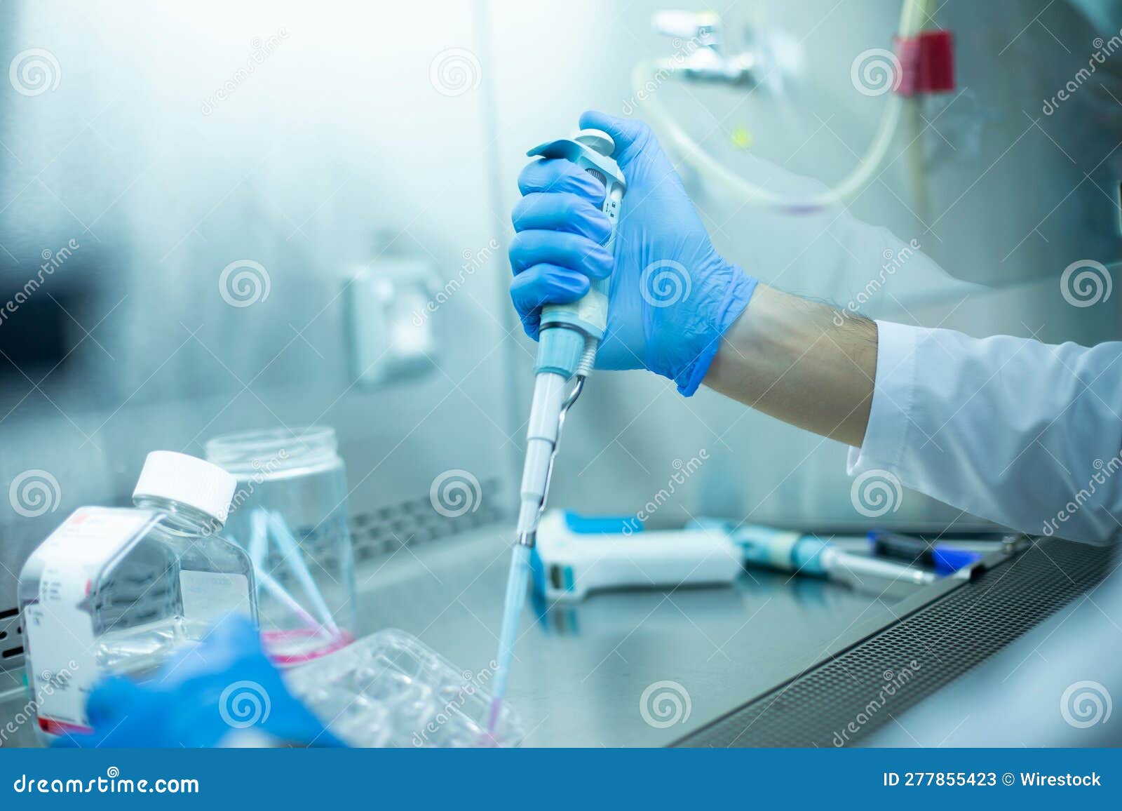 Chemist Wearing Protective Gloves Conducting a Scientific Experiment in ...