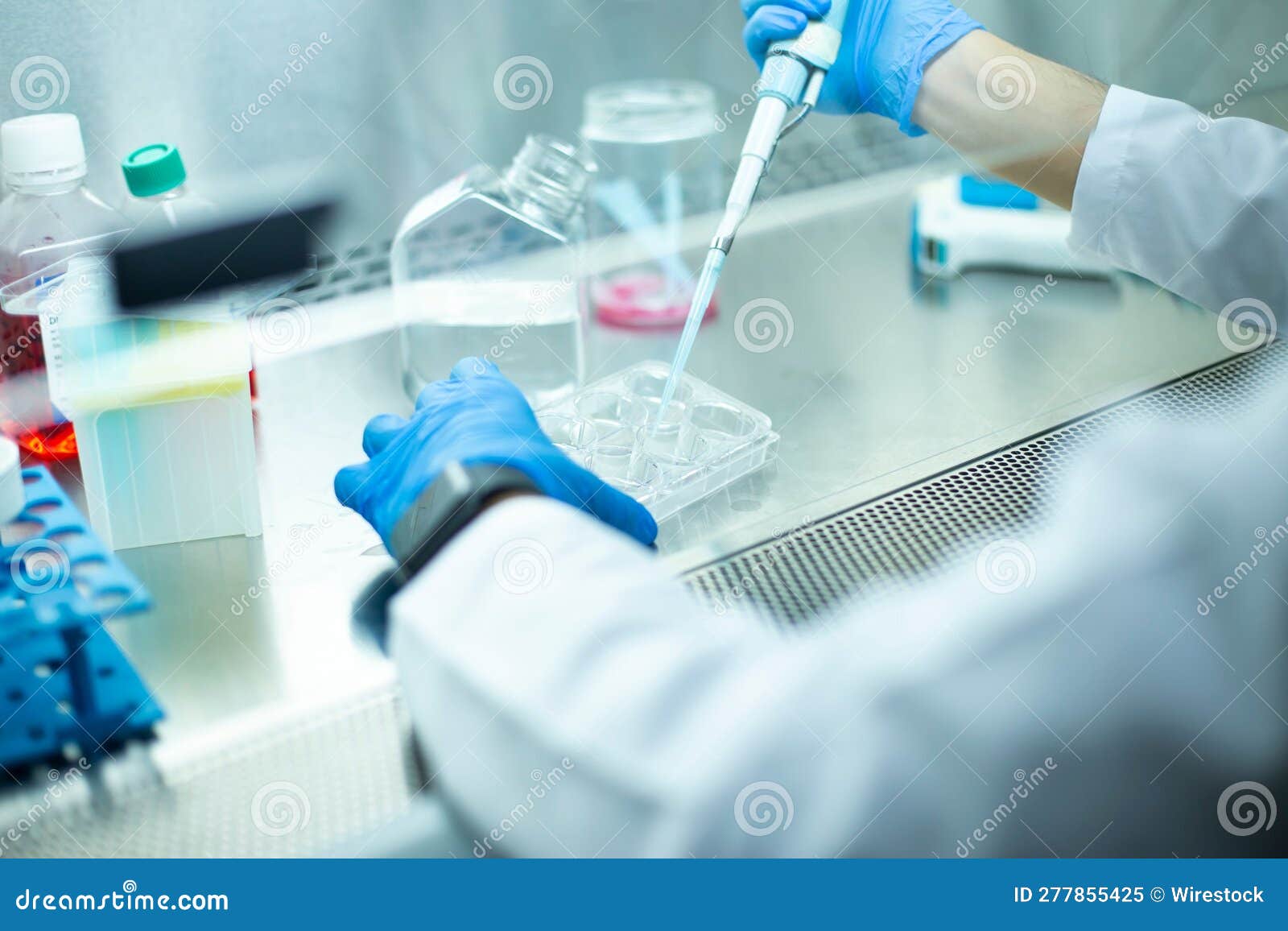 Chemist Wearing Protective Gloves Conducting a Scientific Experiment in ...