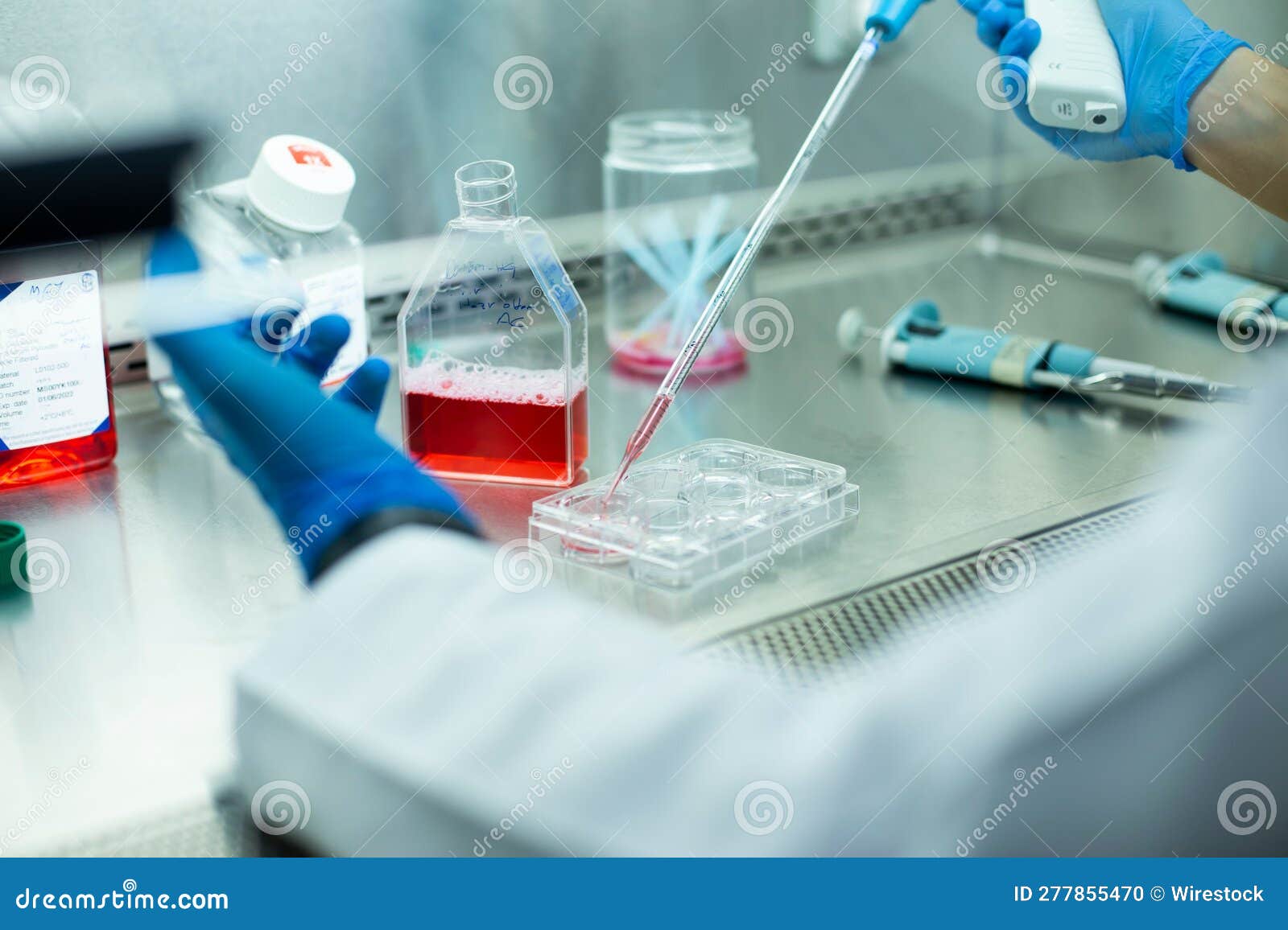 Chemist Wearing Protective Gloves Conducting a Scientific Experiment in ...