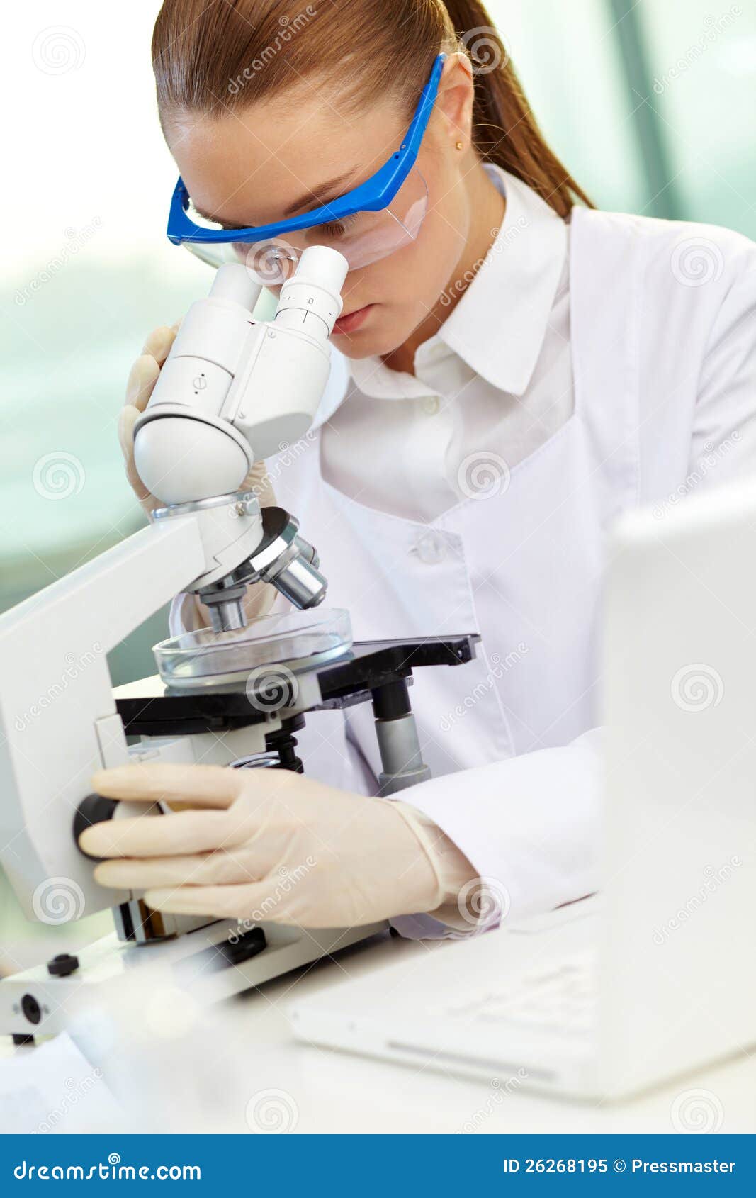 Chemist at work stock image. Image of pharmaceutical - 26268195