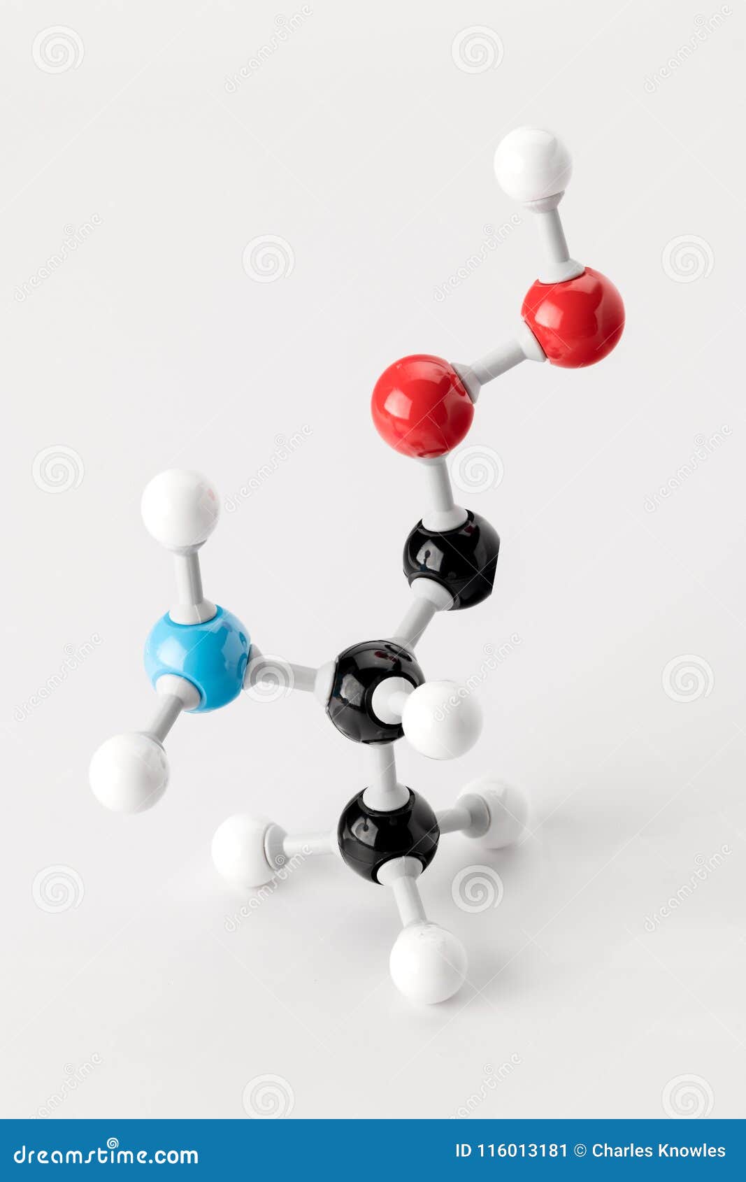 Alanine Molecule Defined Using a Chemical Model Used in Education Stock ...
