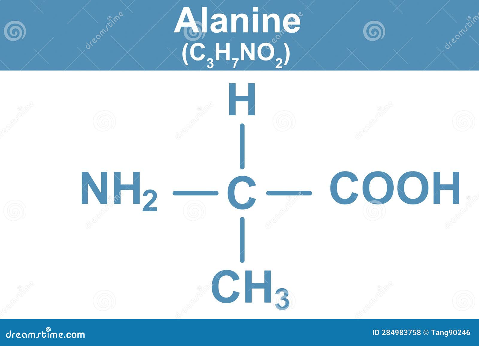 Alanine C3H7NO2 Molecule Formula. Hand Drawn Imitation Of Alanine ...