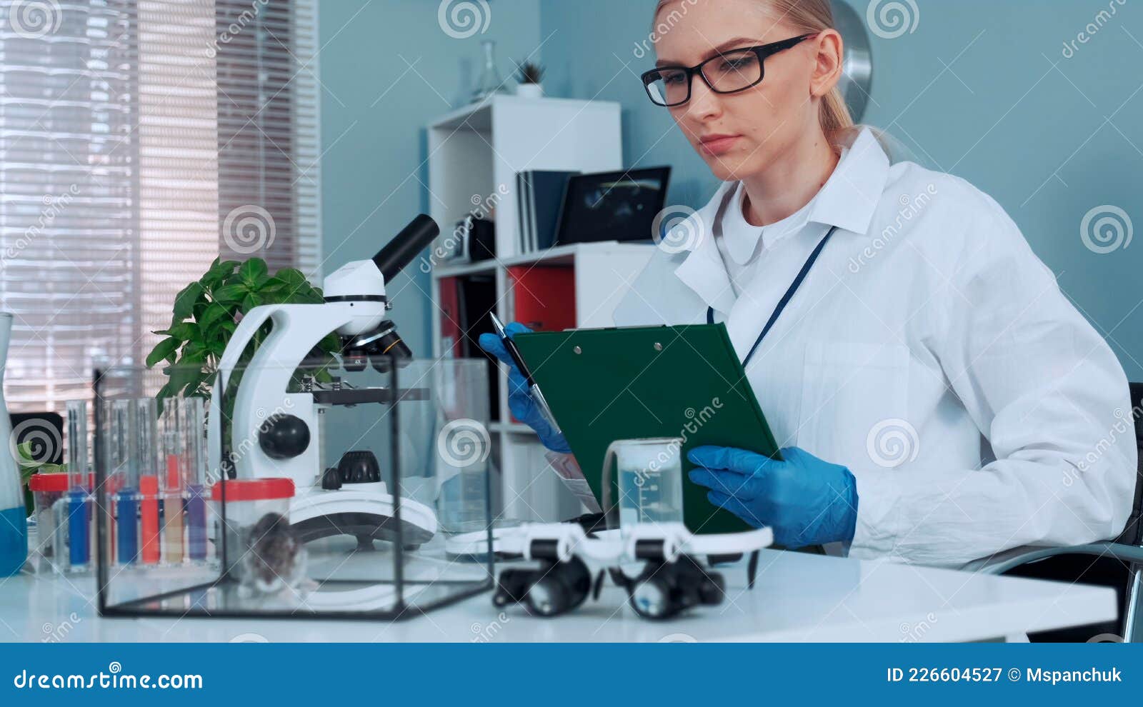 In Chemistry Laboratory Research Scientist Making Observations of Lab ...