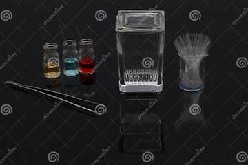 Chemistry of Thin Layer Chromatography with Plate, Solvent and Samples ...