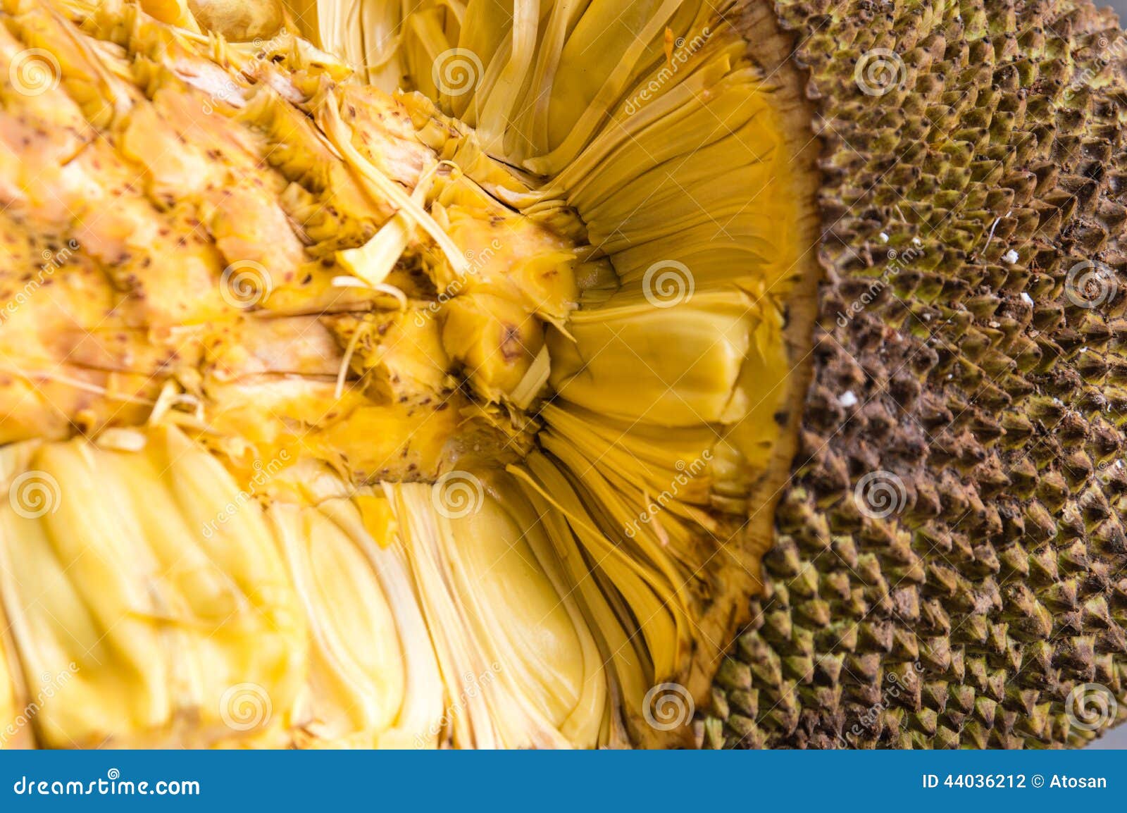 Chempedak fruit stock photo. Image of thailand, fresh - 44036212