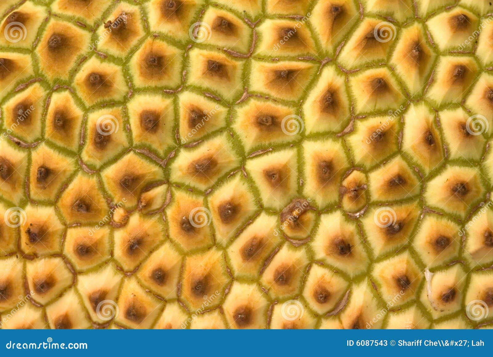 Chempedak Fruit Skin stock image. Image of closeup, integer - 6087543