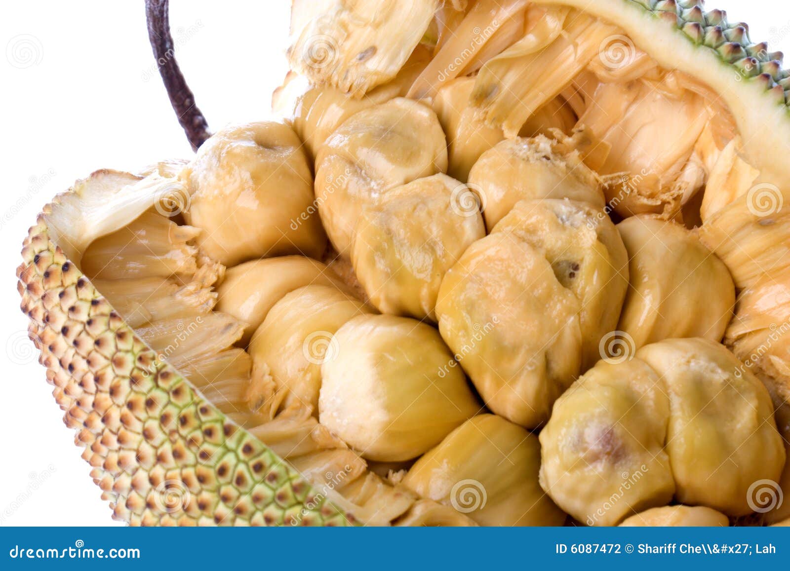 Chempedak Isolated stock photo. Image of agriculture, fruit - 6087472