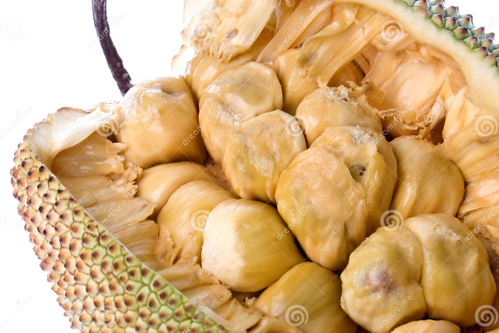 Chempedak Isolated stock photo. Image of agriculture, fruit - 6087472