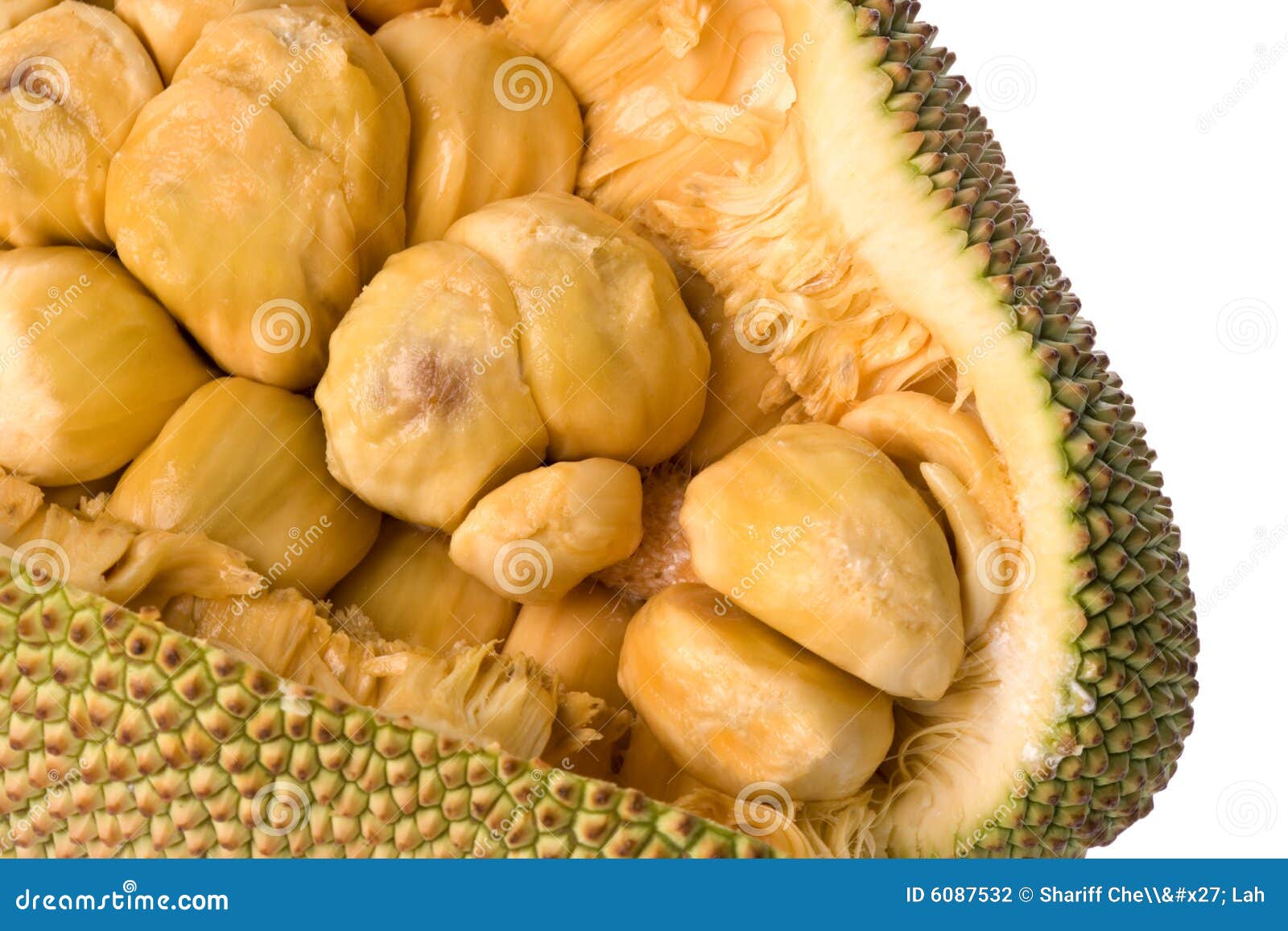 Chempedak Isolated stock photo. Image of isolated, fresh - 6087532