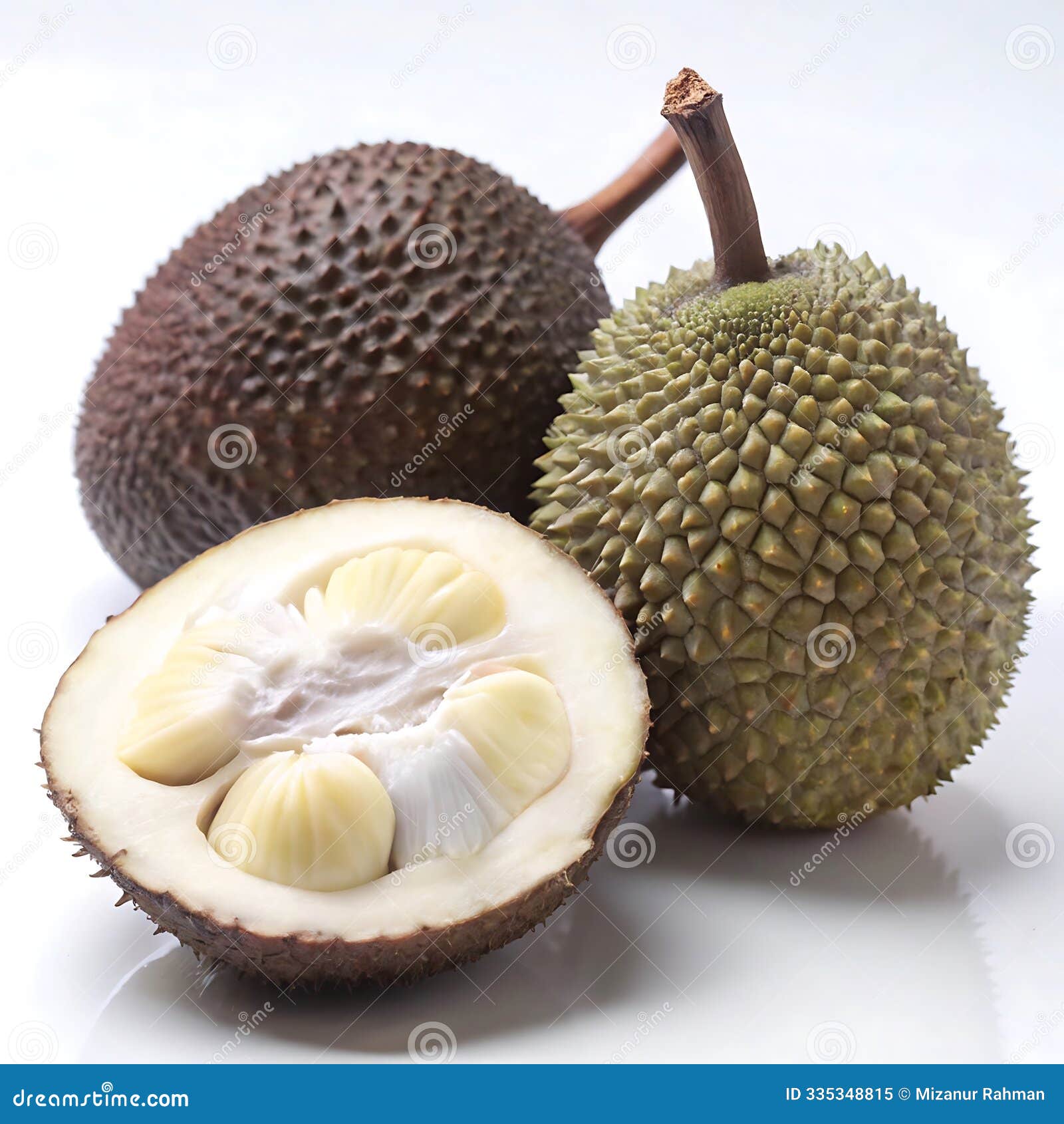 Chempedak Photo Fruit White Background Stock Illustration ...