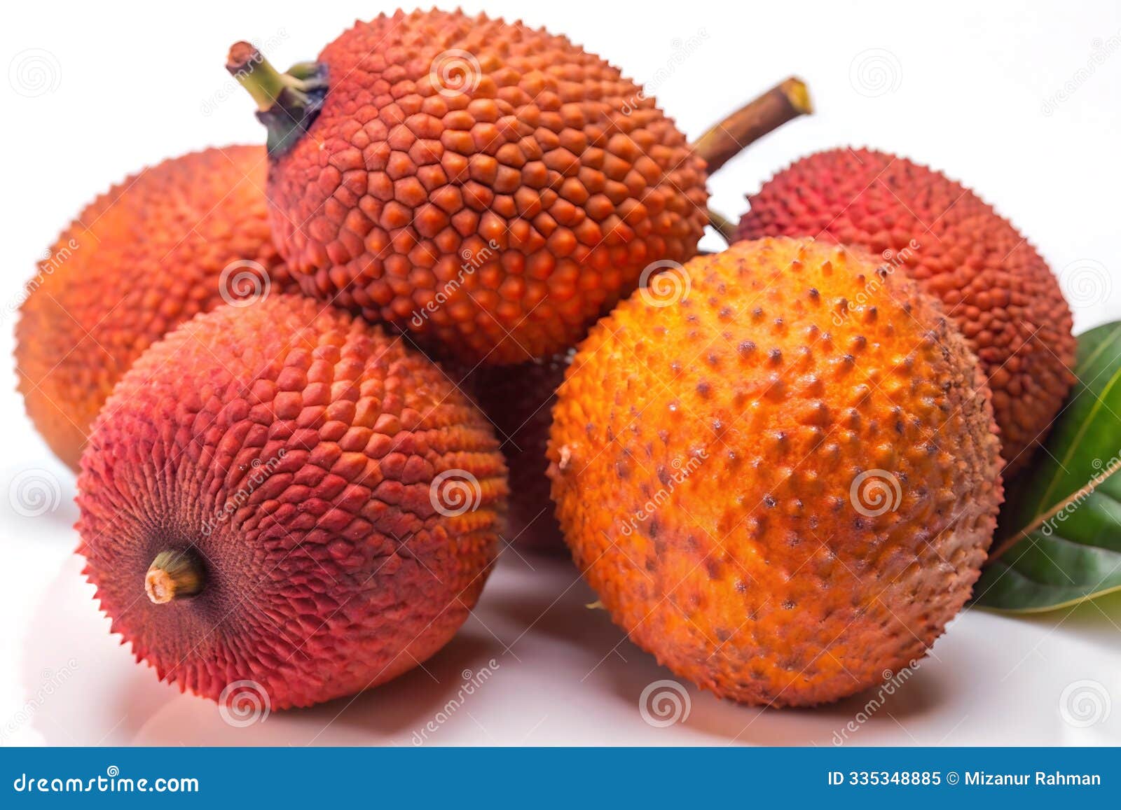 Chempedak Photo Fruit White Background Stock Illustration ...