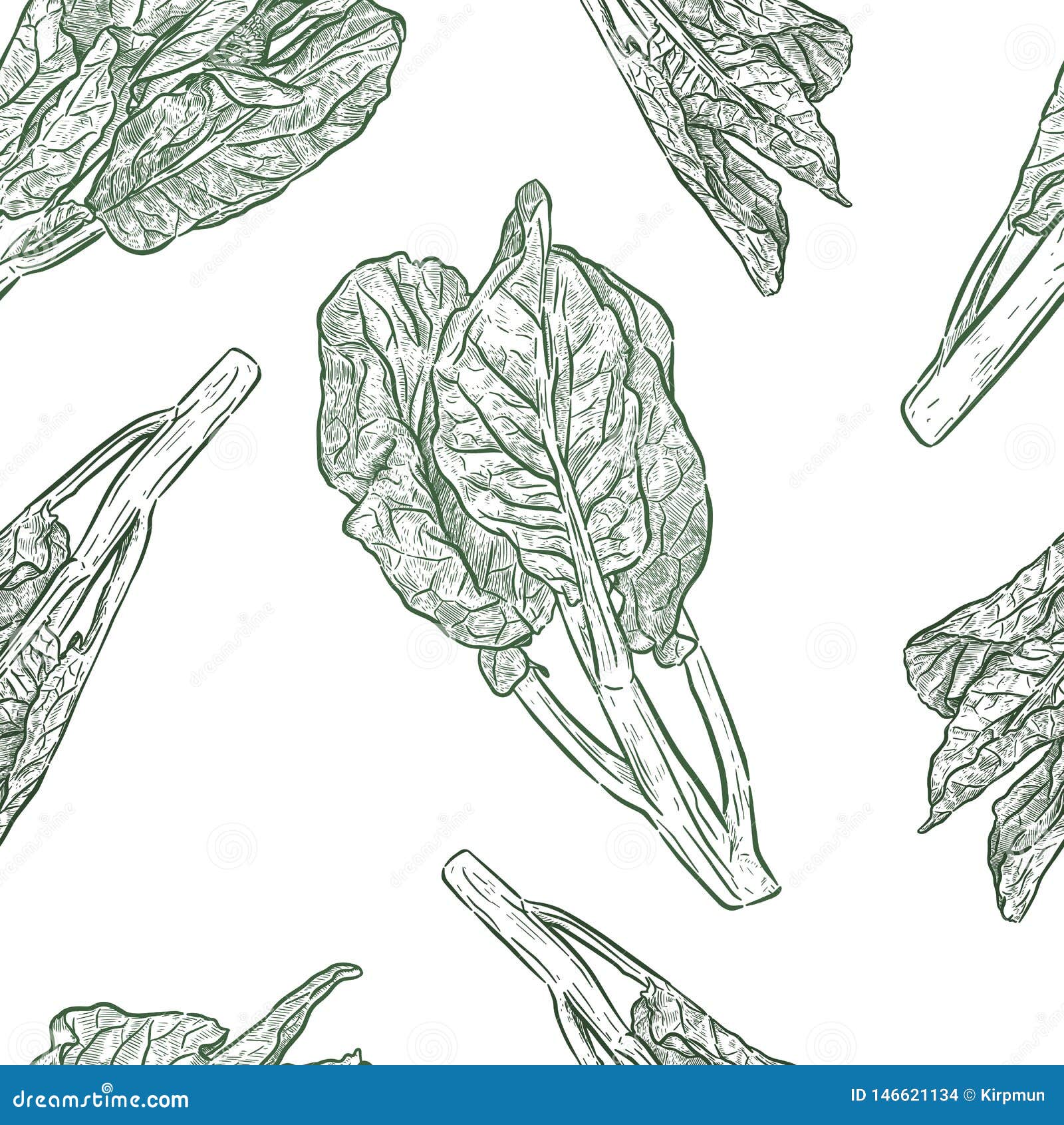 Chenese Kale or Chinese Broccoli Seamless Pattern Stock Vector ...