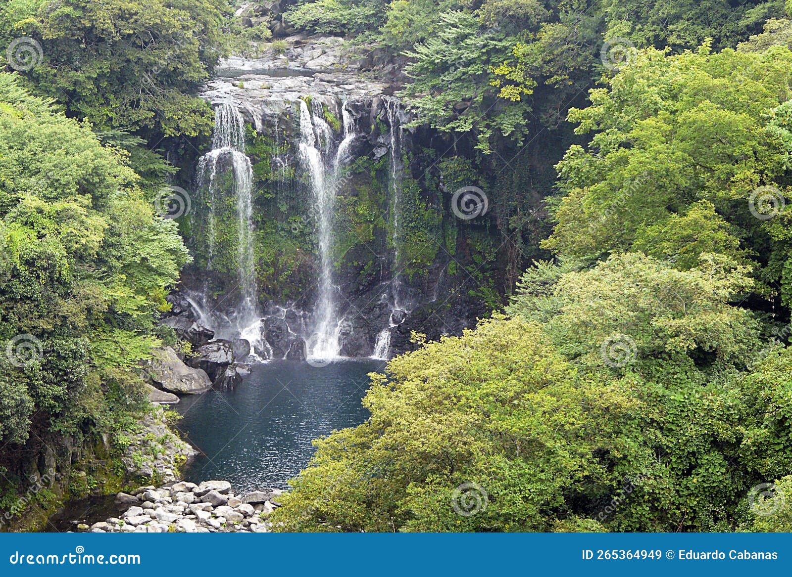 Cheonjeyeon Cascada Jeju Isla Corea Sur Imagen de archivo - Imagen de ...
