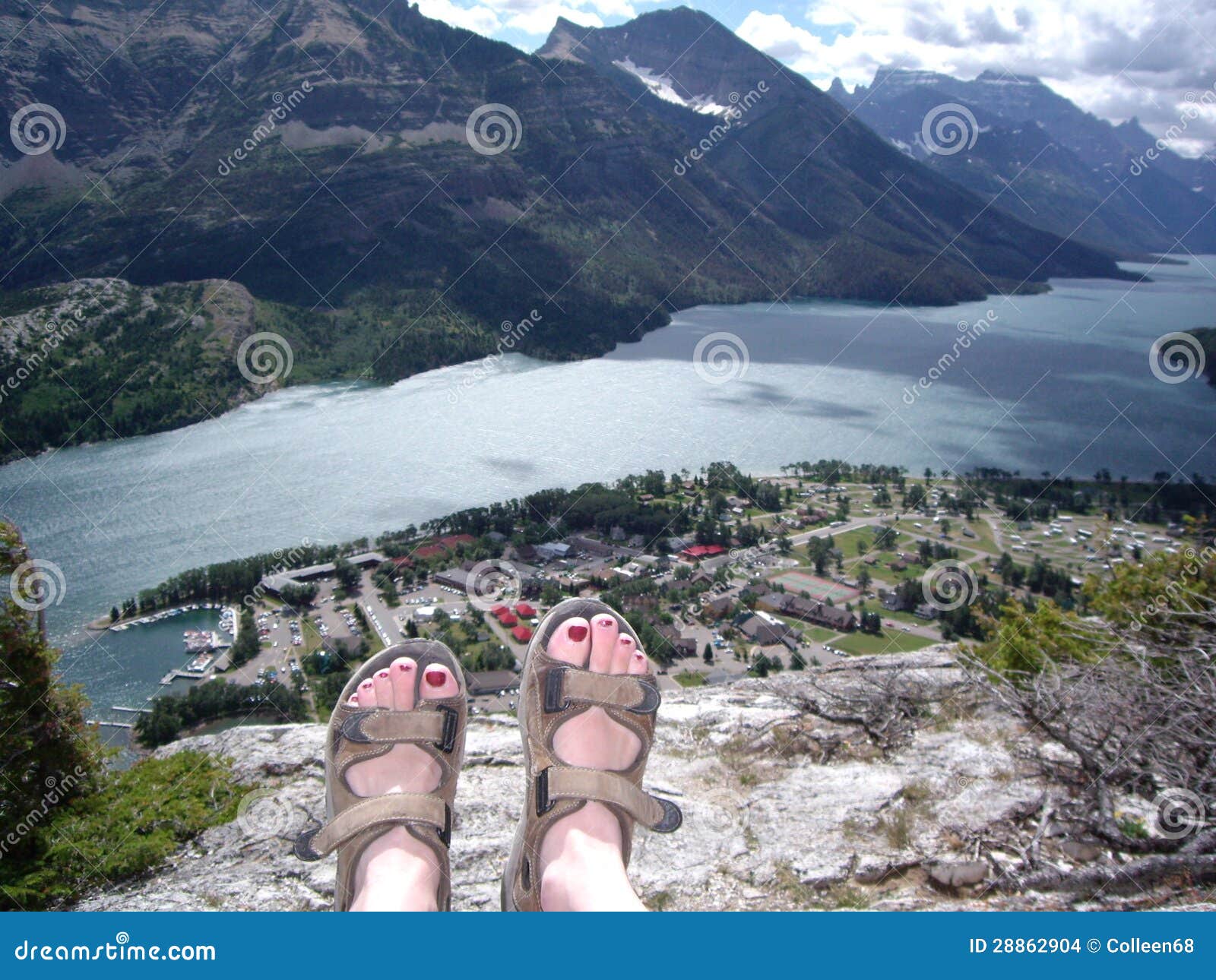 Chepa de los osos foto de archivo. Imagen de verano, naturalizado ...