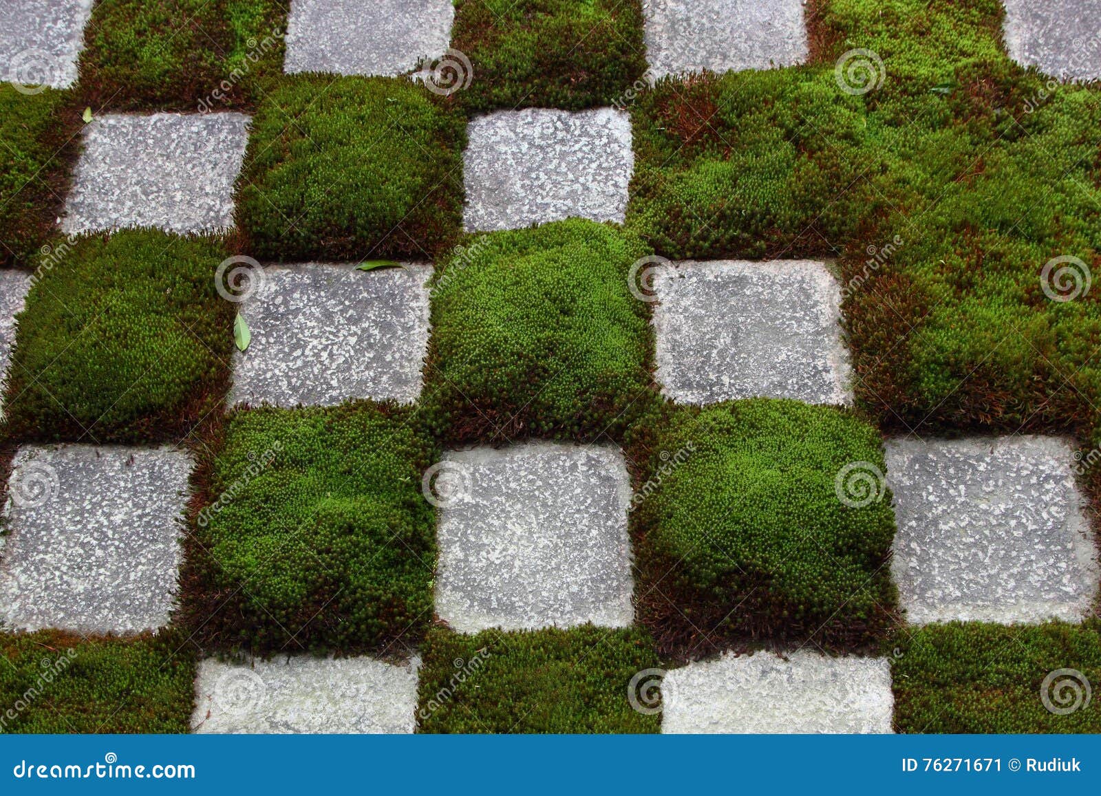 Chequered Moss Pattern Stock Photos - Free & Royalty-Free Stock Photos ...