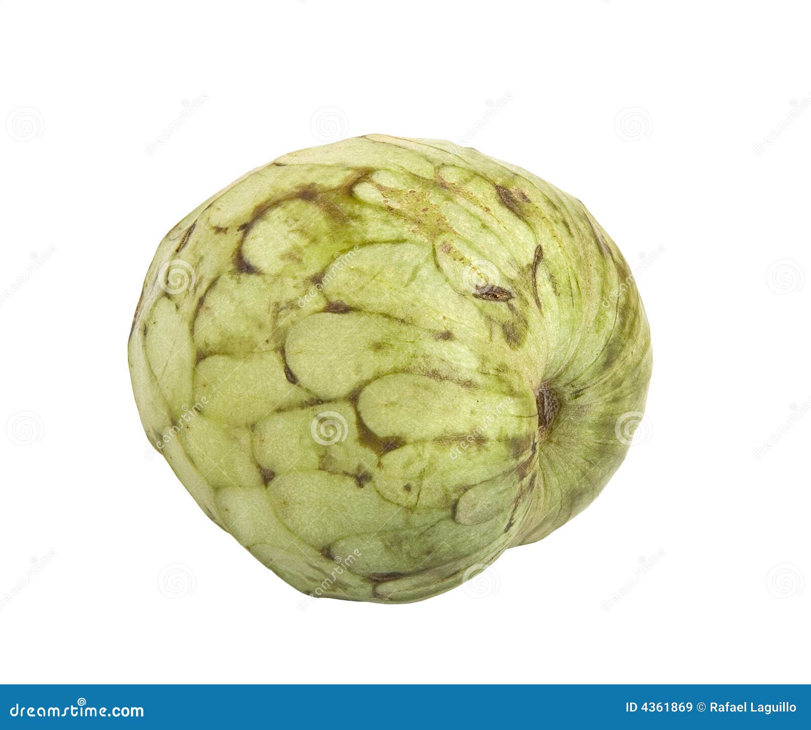 Cherimoya stock image. Image of fleshy, fresh, pulp, cherimola - 4361869