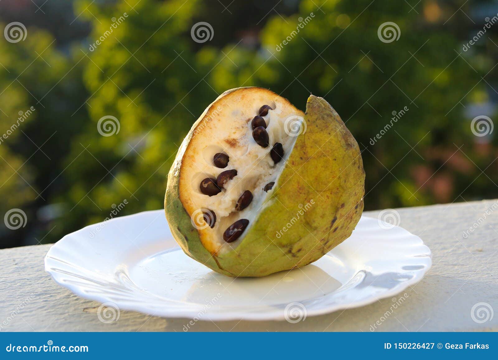 Cherimoya, Annona Cherimola, Fruit on the Plate Stock Image - Image of ...