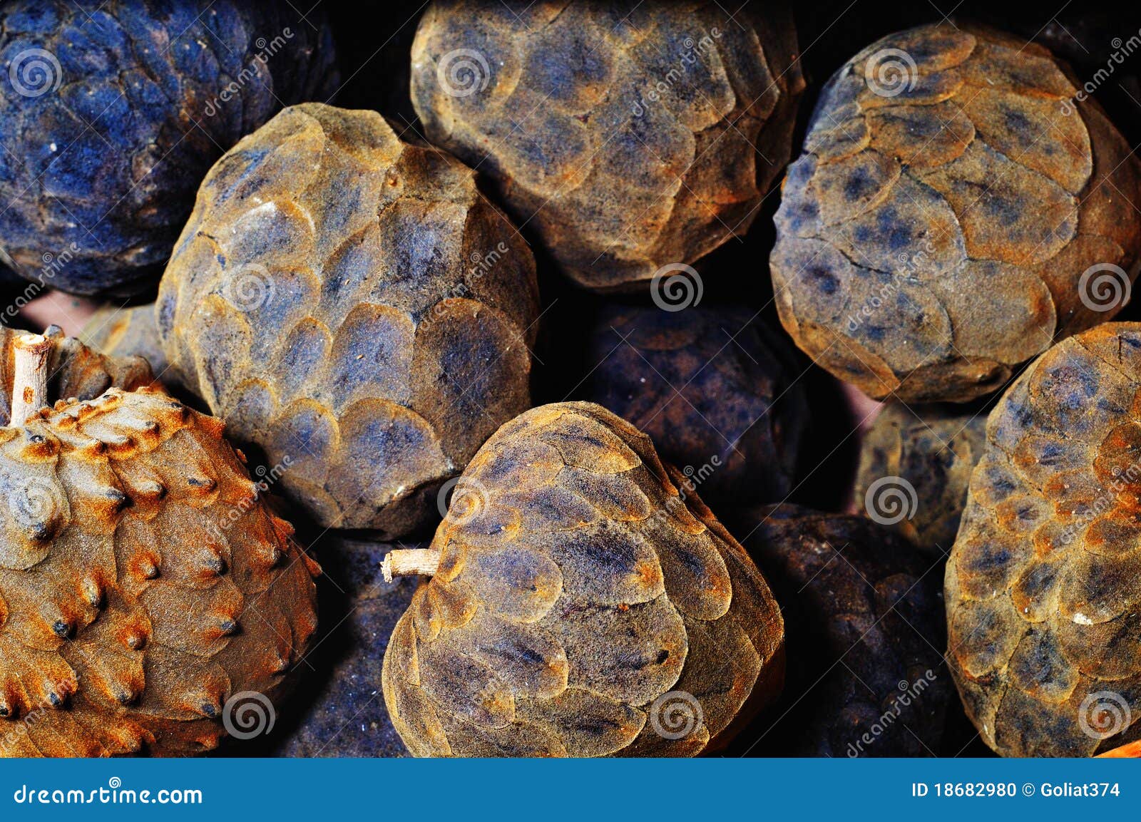 Cherimoya (Anonna Cherimola) Stock Photo - Image of anonna, chirimoya ...