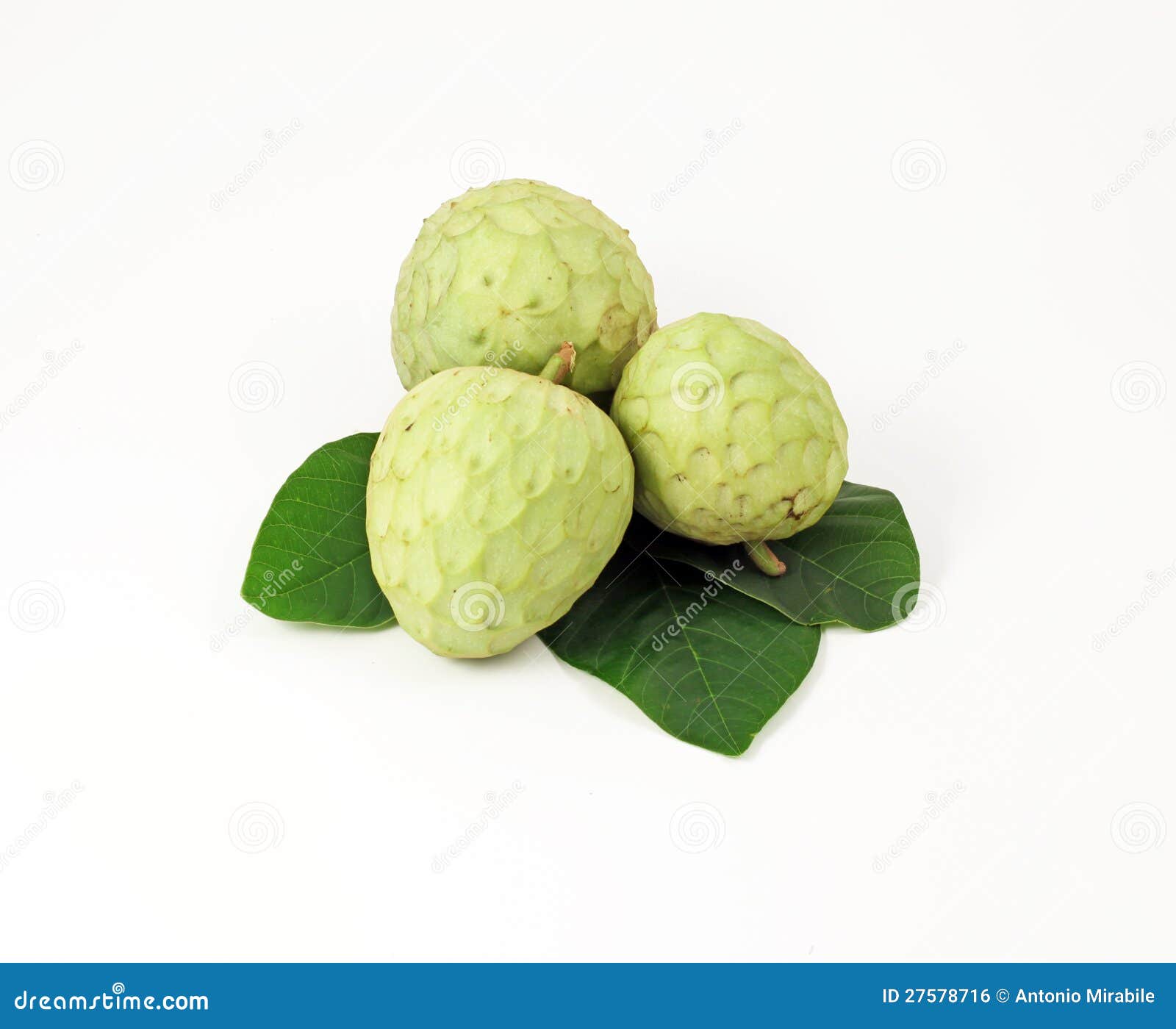 Cherimoya fruit stock photo. Image of cherimoya, sugarapple - 27578716